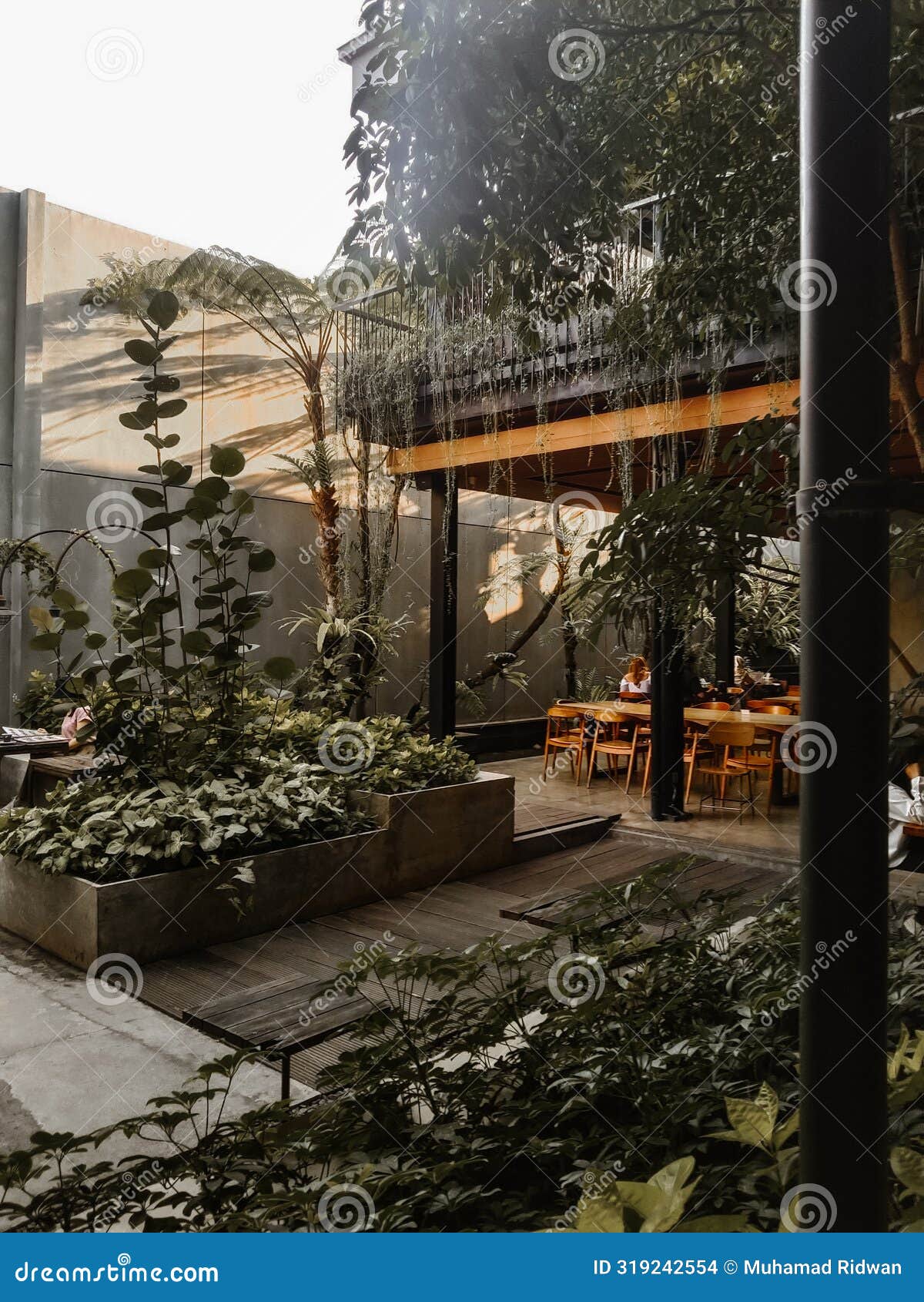 Coffee Shop with a Tropical Forest Feel Stock Photo - Image of design ...