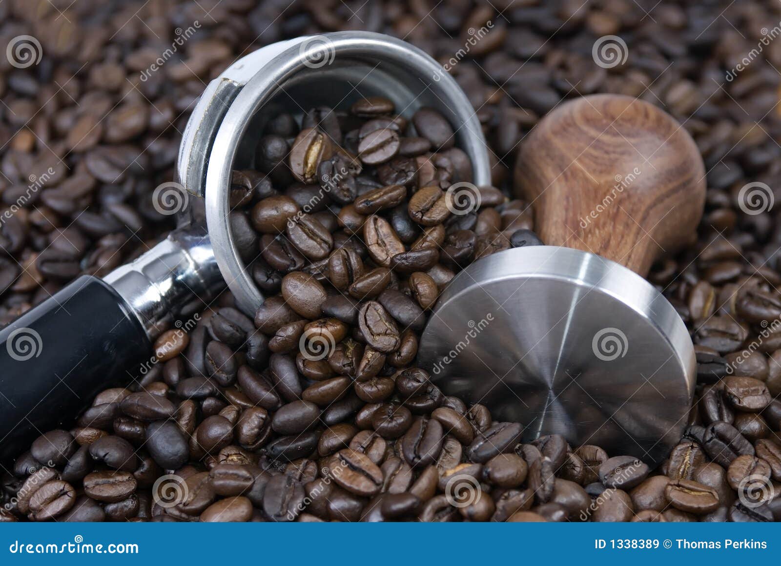 Coffee Growth Stages Stock Photos - Free & Royalty-Free Stock Photos ...