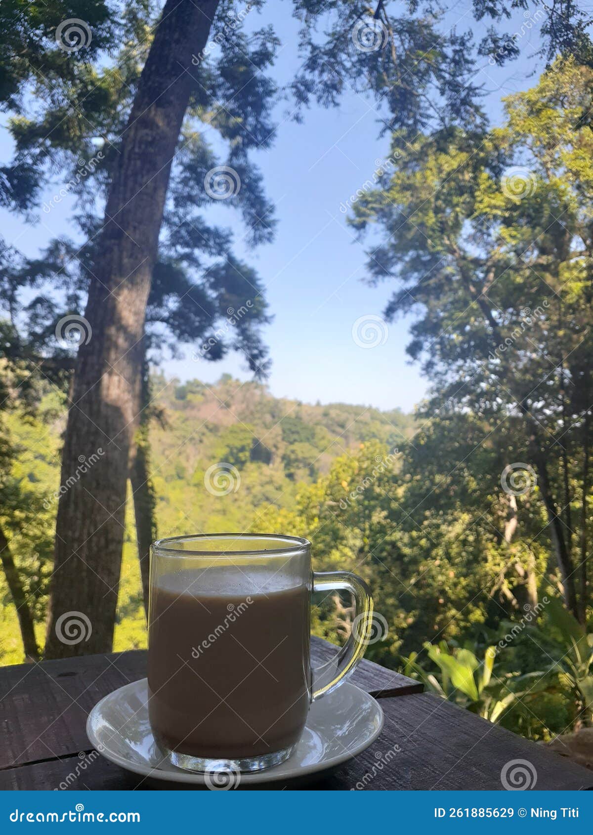 Coffee Trawas stock image. Image of coffee, forest, indonesia - 261885629