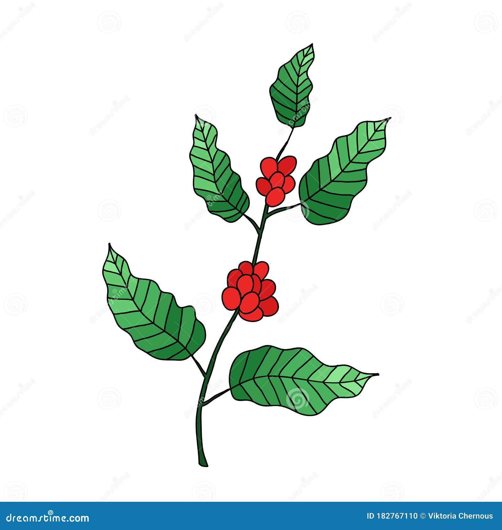 Coffee tree doodle icon stock illustration. Illustration of cafe ...