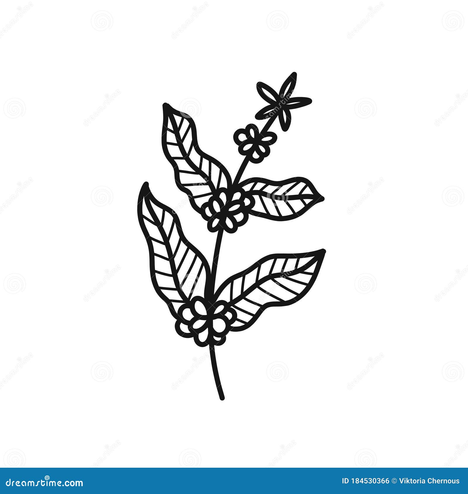 Coffee Tree Doodle Icon, Vector Illustration Stock Illustration ...