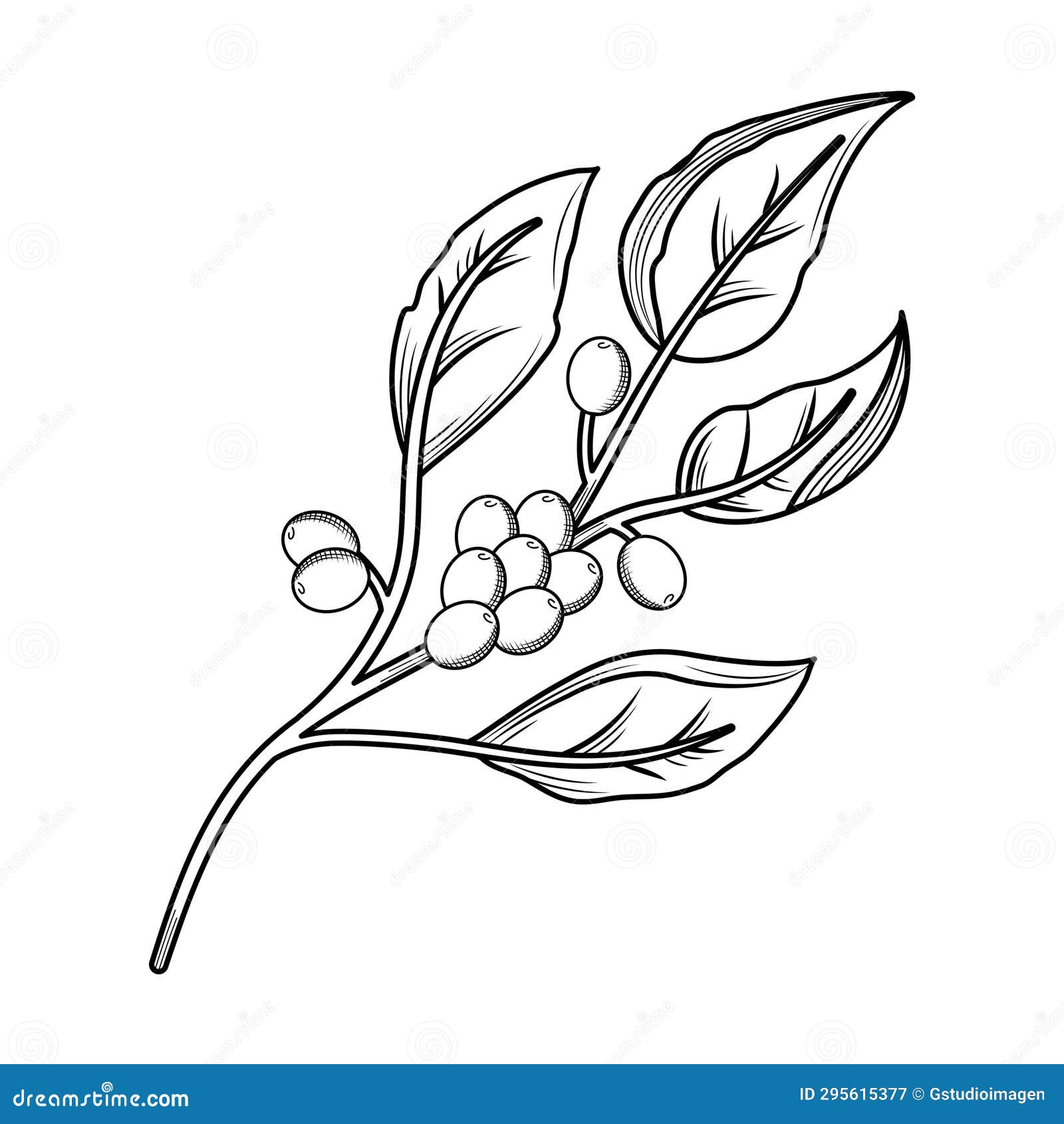 Coffee tree draw stock illustration. Illustration of beverage - 295615377
