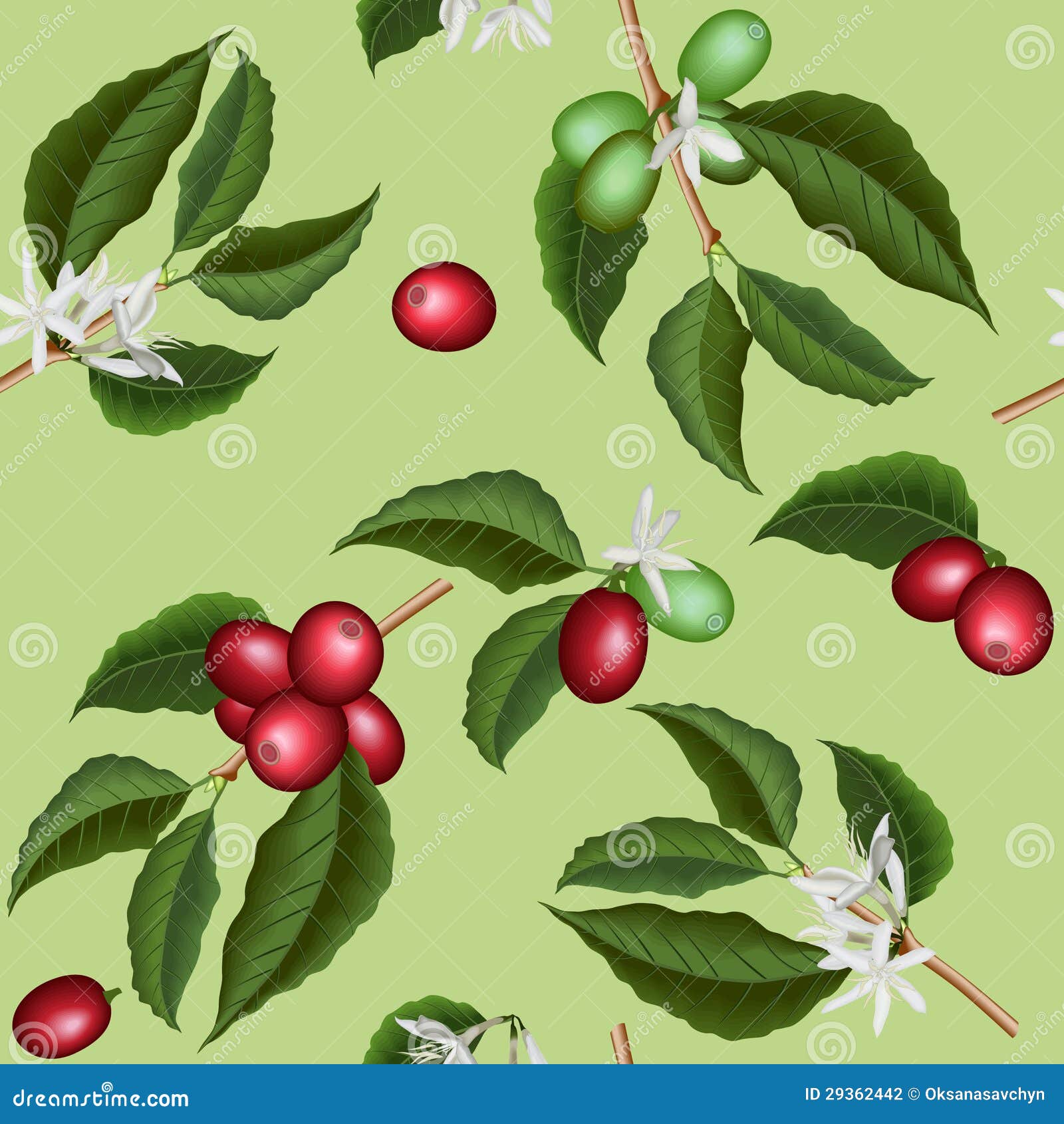 Coffee Tree Flowers and Berries Seamless Texture Stock Vector ...