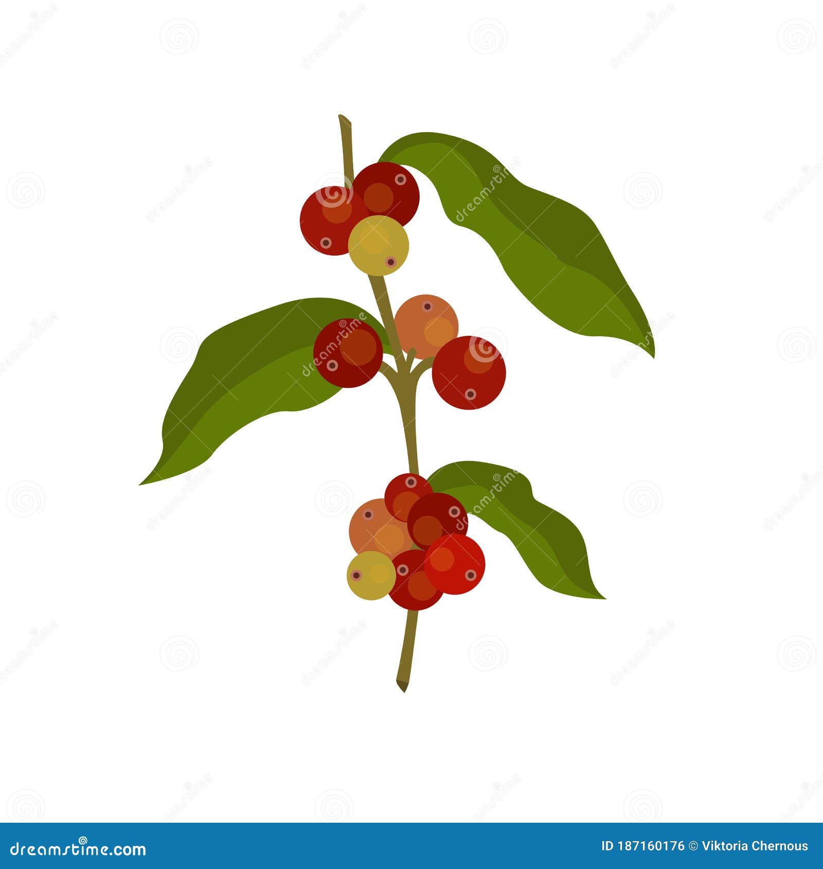 Coffee Tree Icon, Vector Hand Draw Illustration Stock Illustration ...