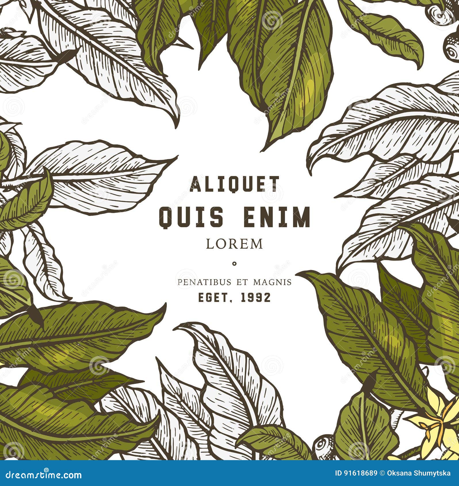 Coffee tree illustration. stock vector. Illustration of grain - 91618689