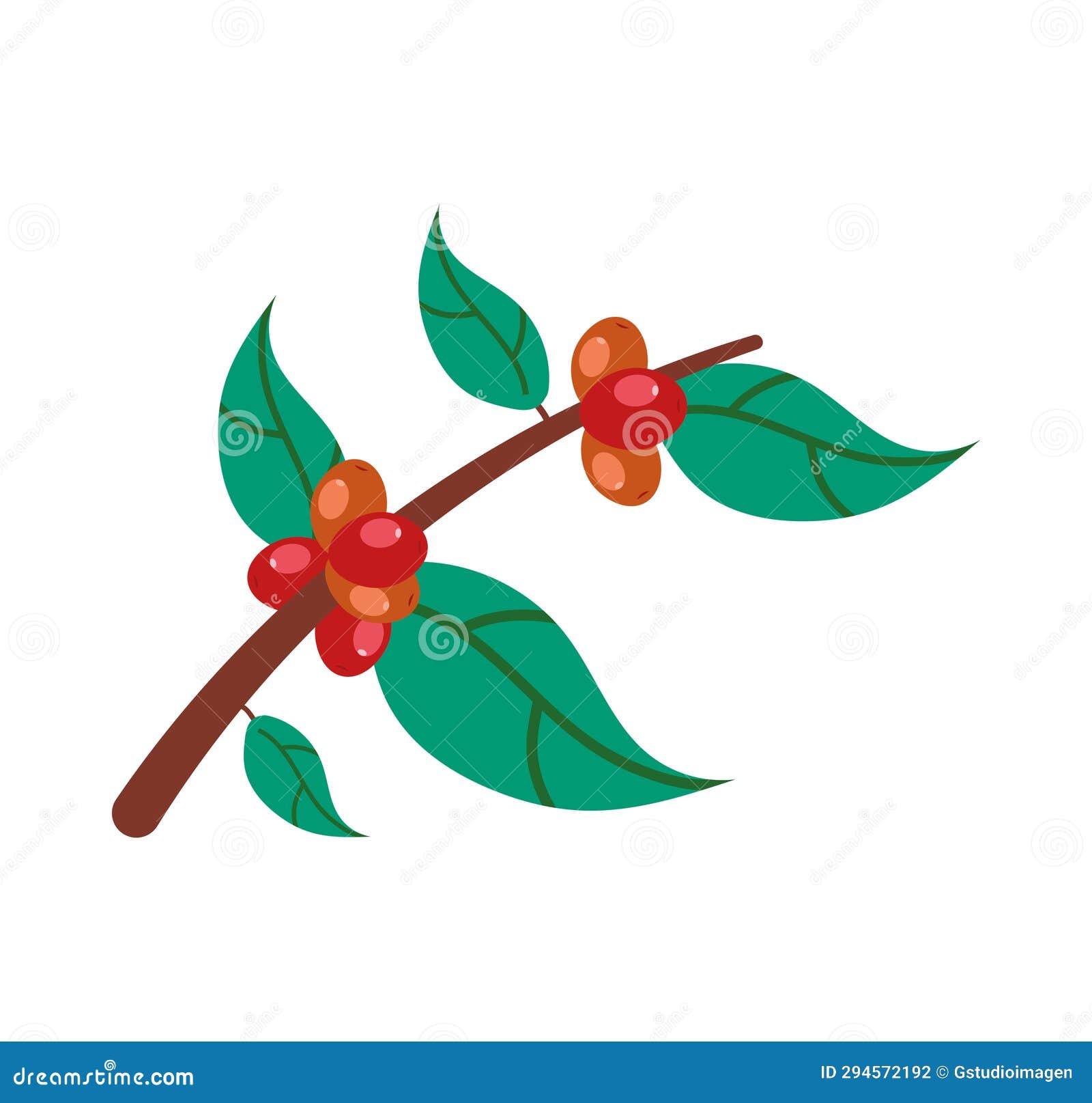 Coffee tree and leaf stock vector. Illustration of clombian - 294572192