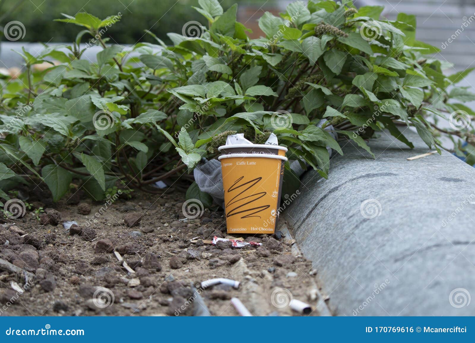 Coffee Varieties are Written on Paper Coffee Cups. it Causes ...