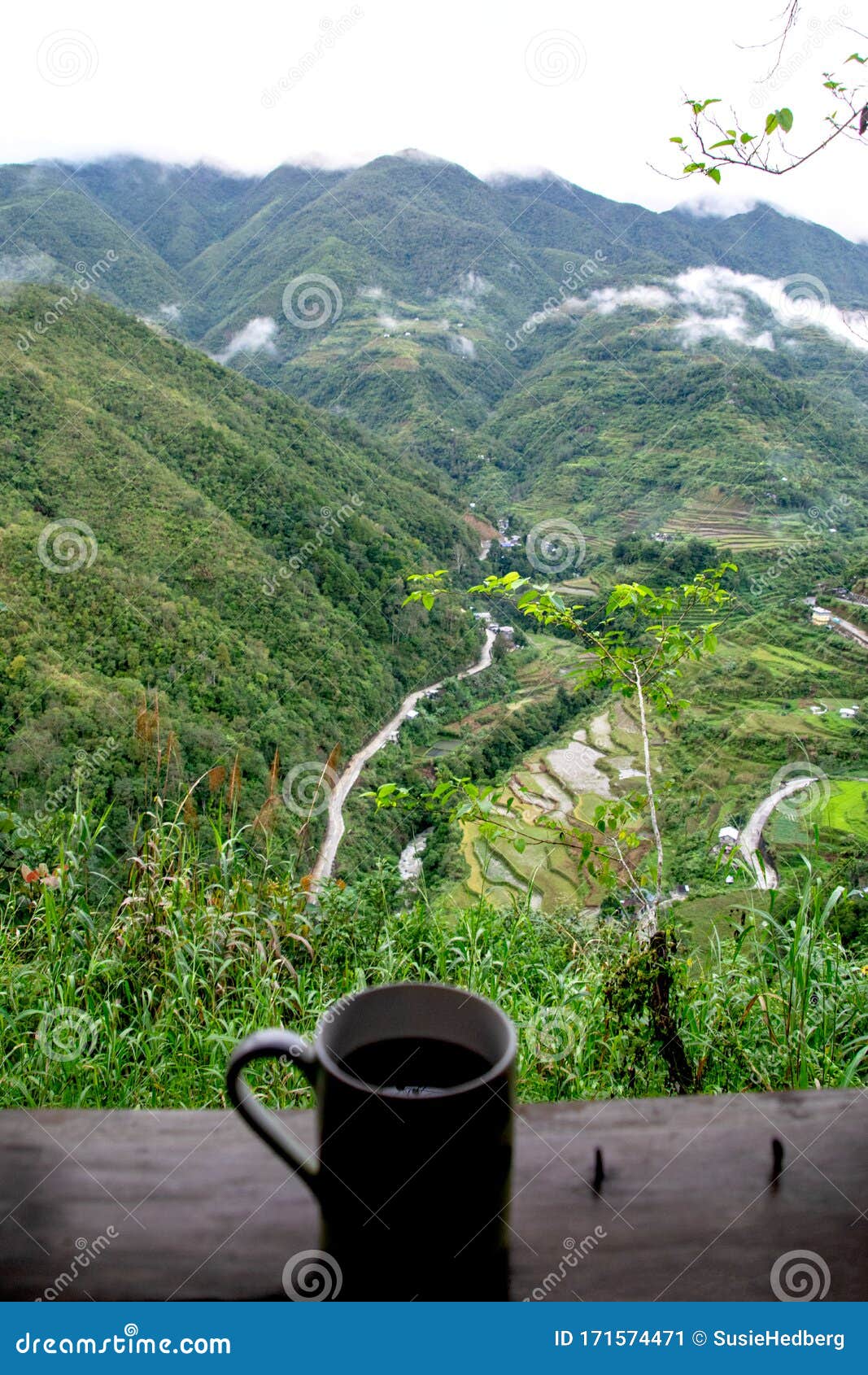 Coffee with a View of the Rice Fields Stock Image - Image of landscape ...