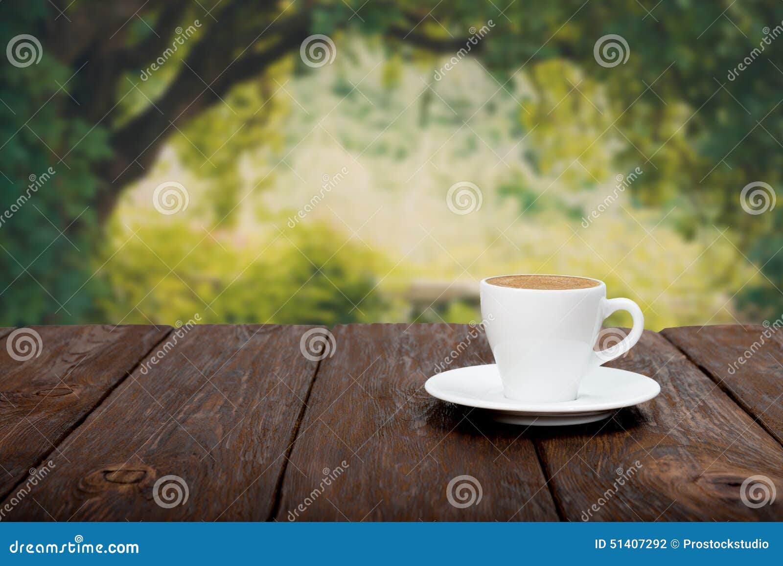 216 Forrest Soft Light Stock Photos - Free & Royalty-Free Stock Photos ...