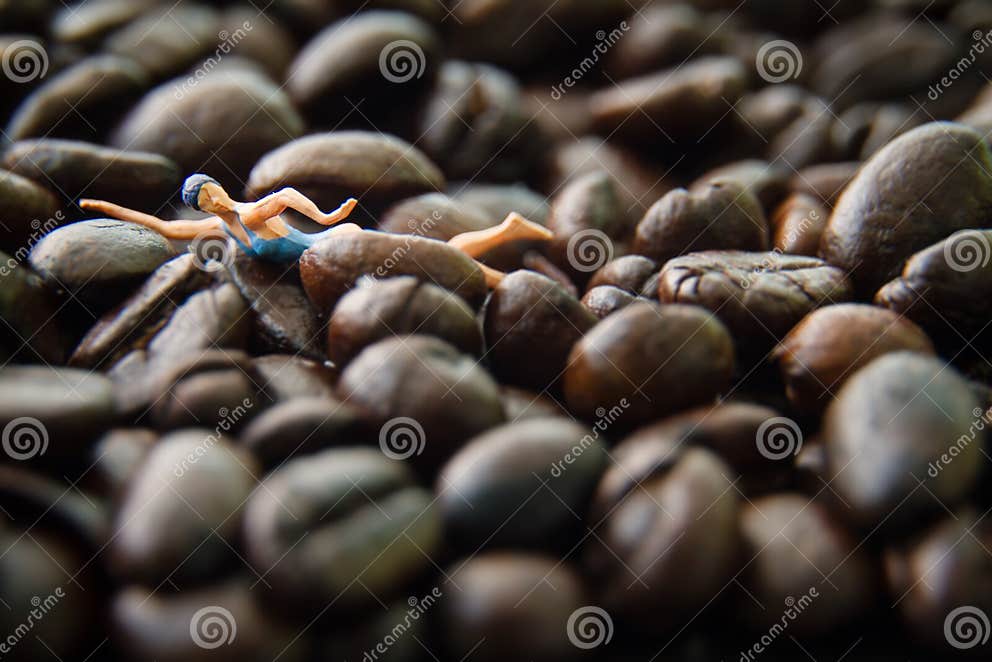 Coffeebean swiming stock photo. Image of confabbing, dark - 57135724