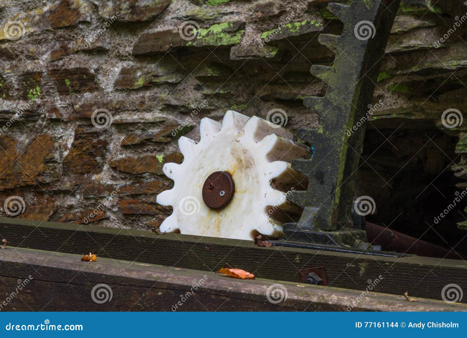 Cog Driven by Old Waterwheel Stock Photo - Image of engages, antique ...