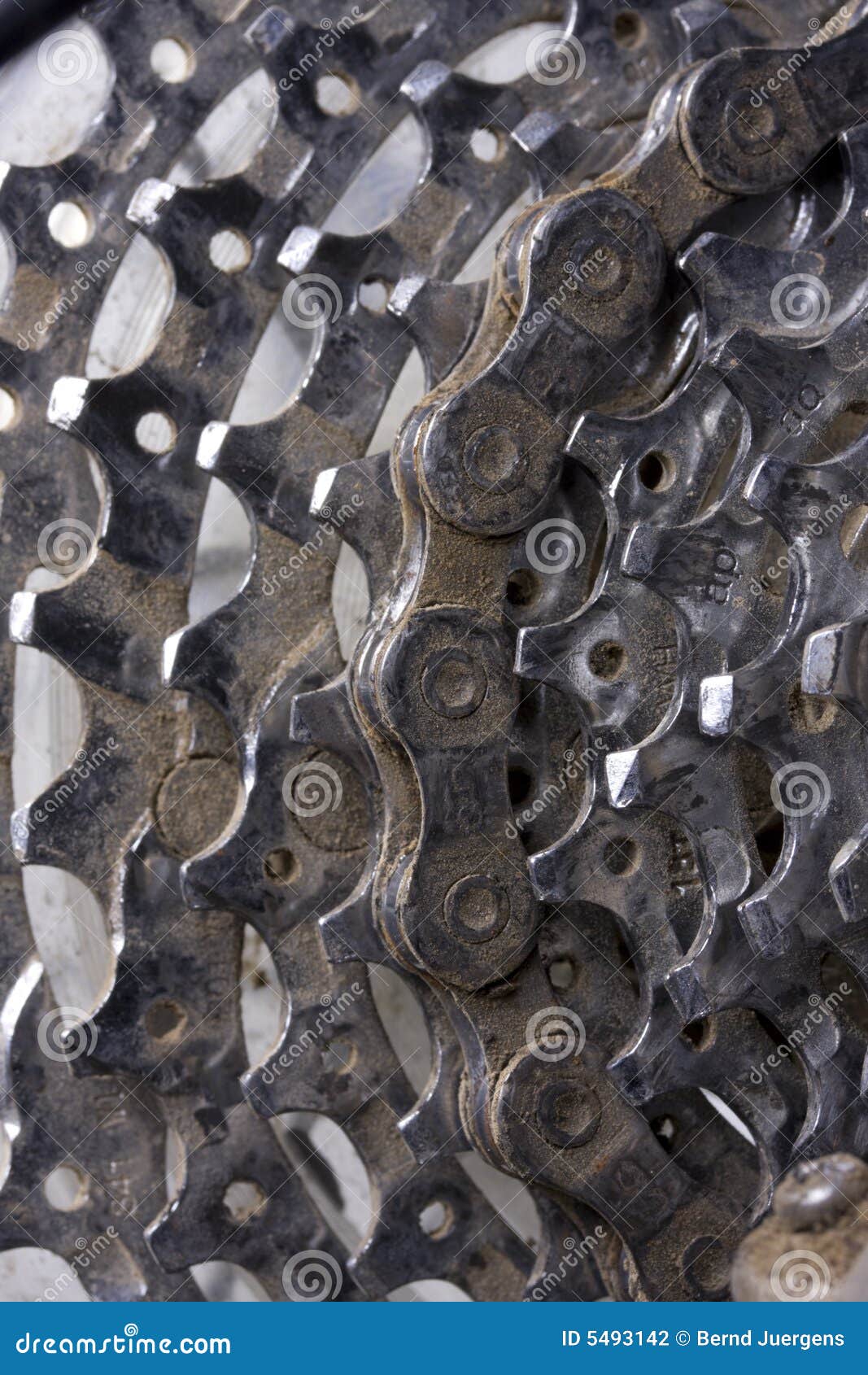 Cog on a mountain bike stock photo. Image of cogwheel - 5493142