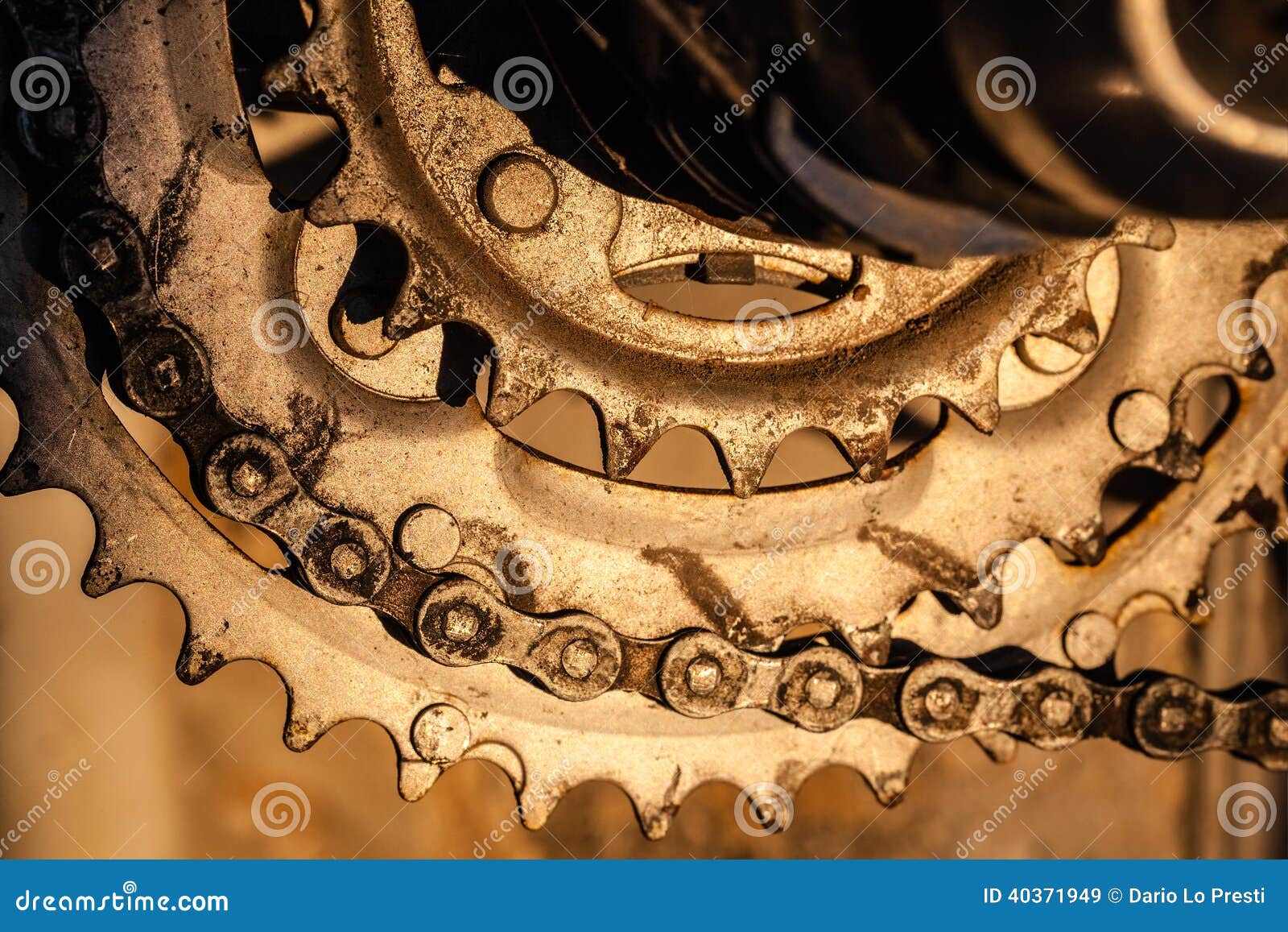 Cog wheels stock image. Image of derailleur, gearing - 40371949