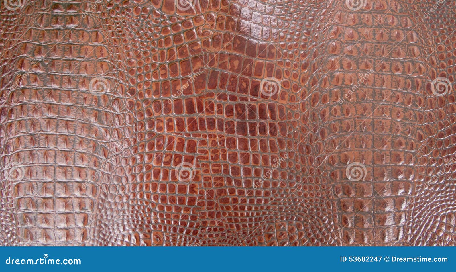Cognac Brown Embossed Gator Leather Texture Stock Image - Image of ...