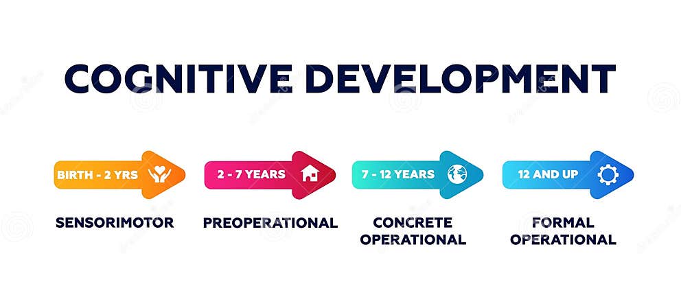 Cognitive Development. Intelligence and Education Process Stock Illustration - Illustration of ...