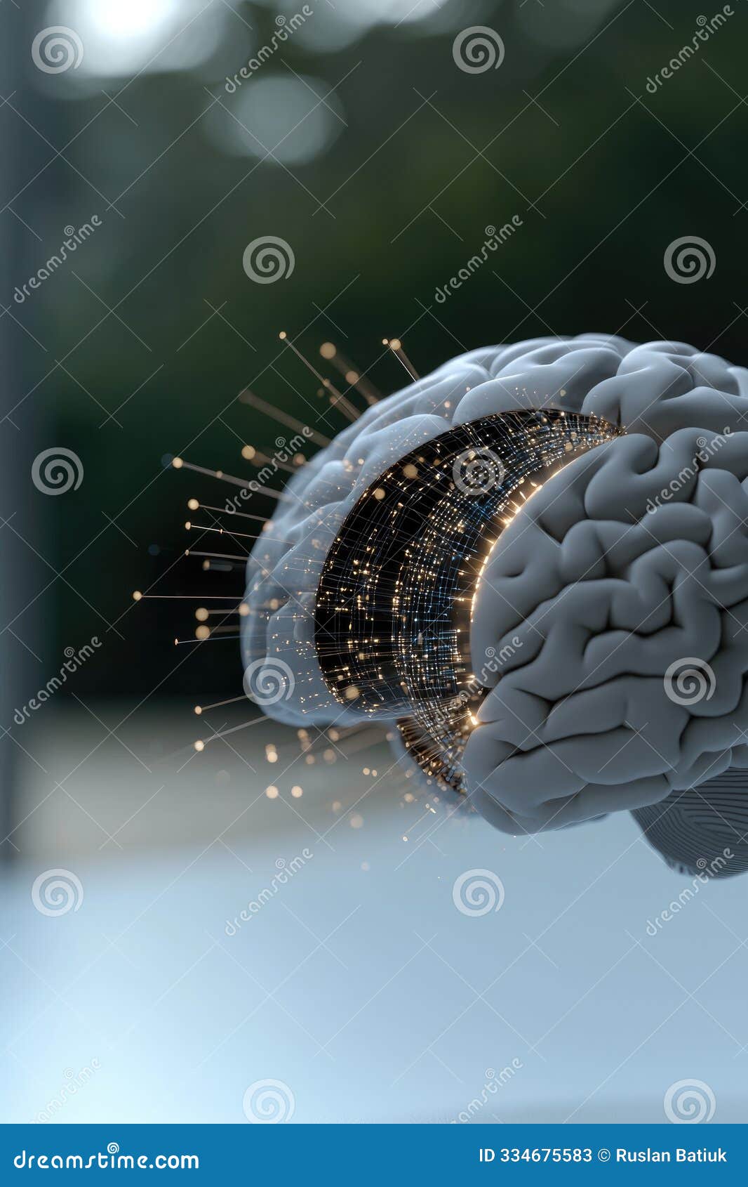 Cognitive Dimension: a Visualization of Human Consciousness, Revealing ...