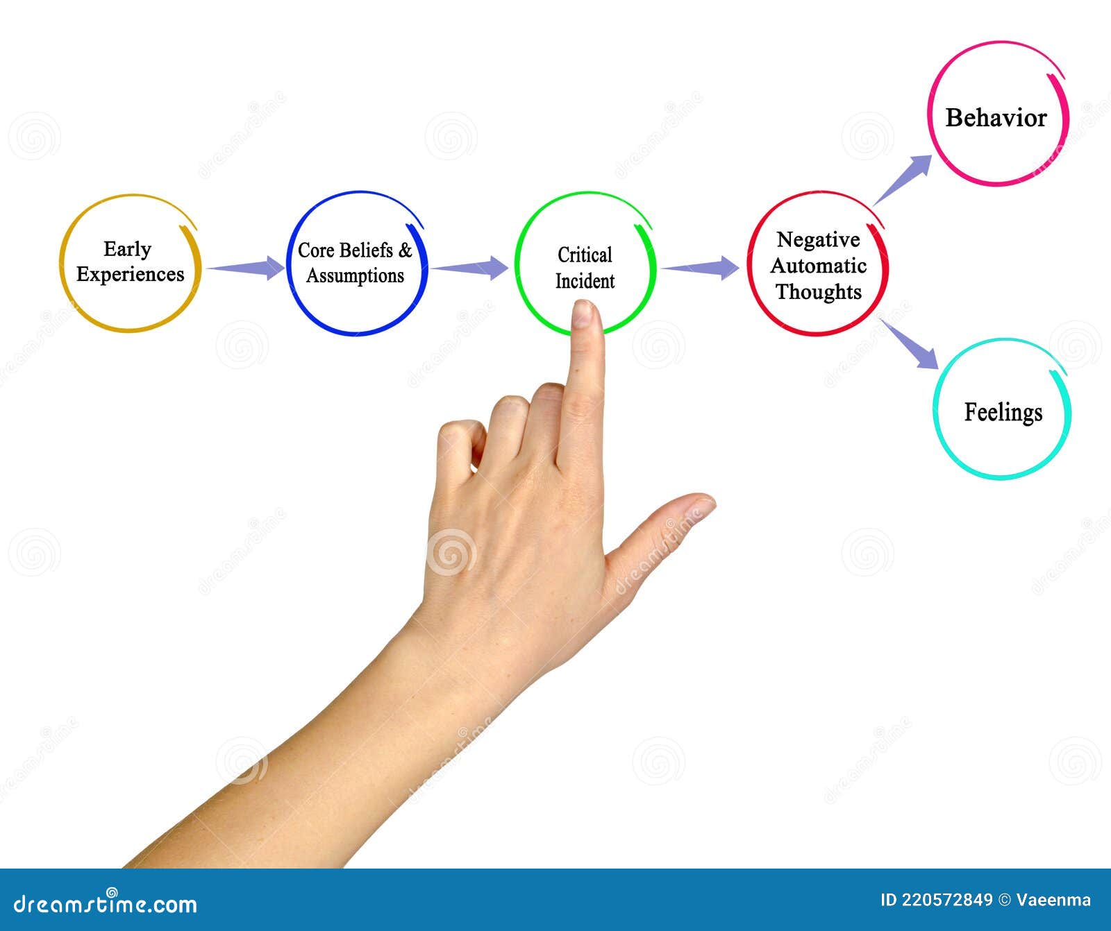 Cognitive Model of Behavior and Feelings Stock Image - Image of ...