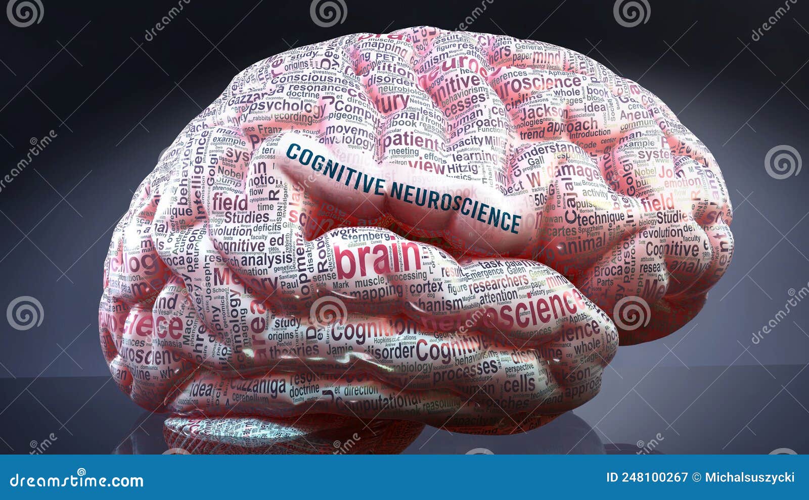 Cognitive Neuroscience And Thought Consciousness Processes, Outline ...