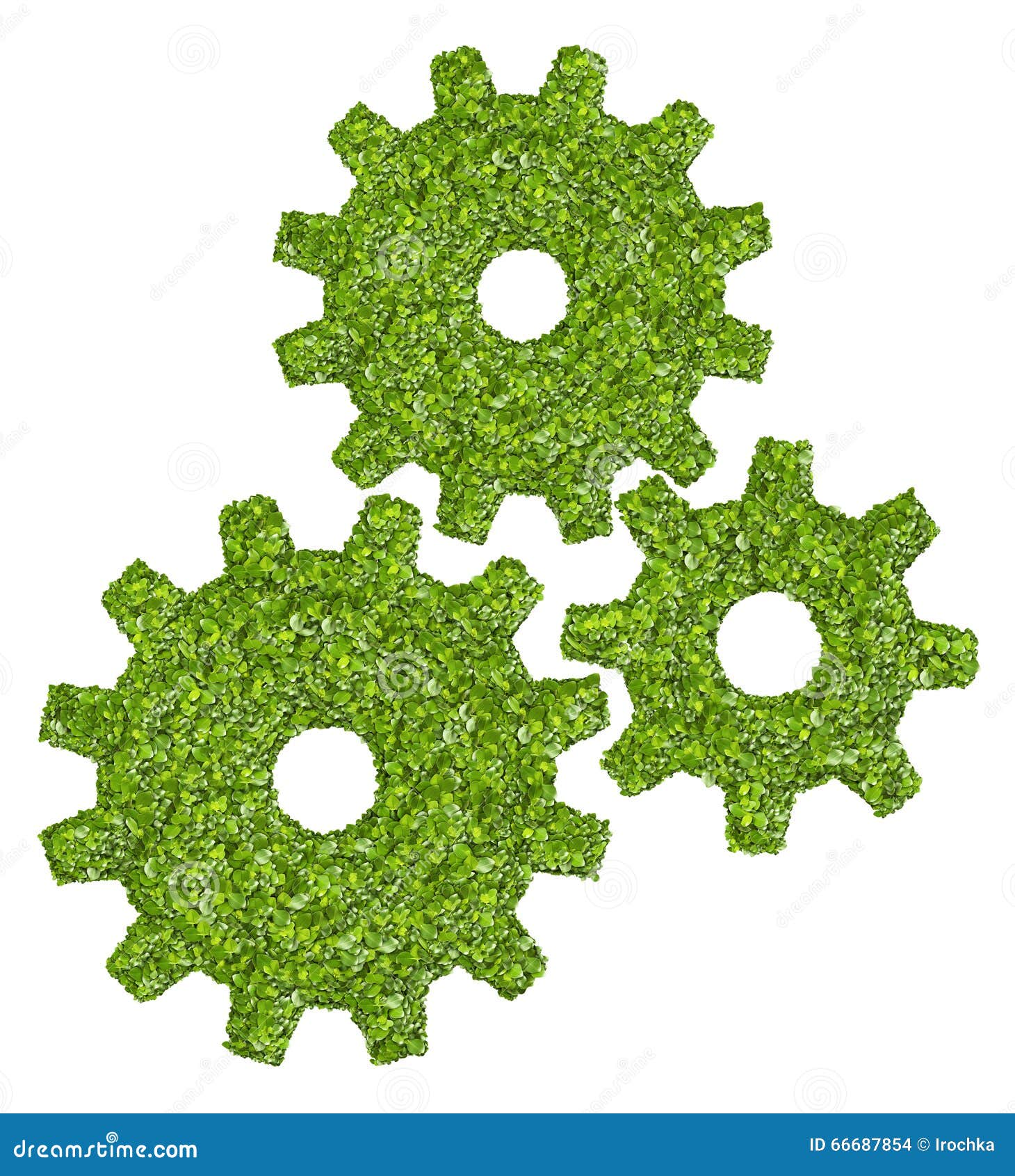 Cogs or Gears from the Green Grass. Stock Photo - Image of greenery ...