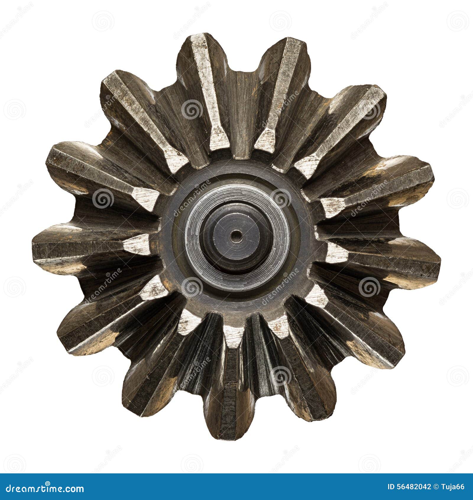 Cogwheel stock photo. Image of closeup, isolated, clockwork - 56482042