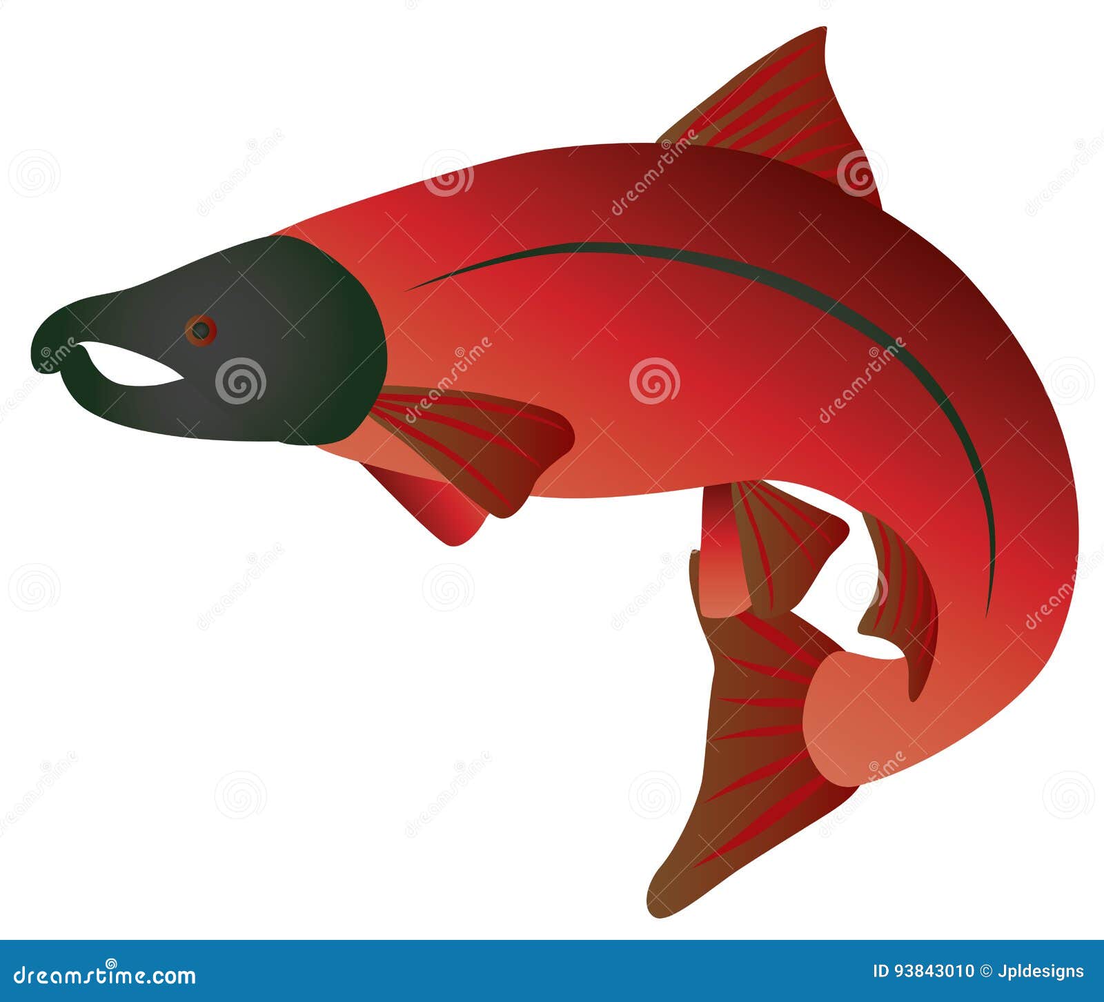 Coho Cartoons, Illustrations & Vector Stock Images - 526 Pictures to ...