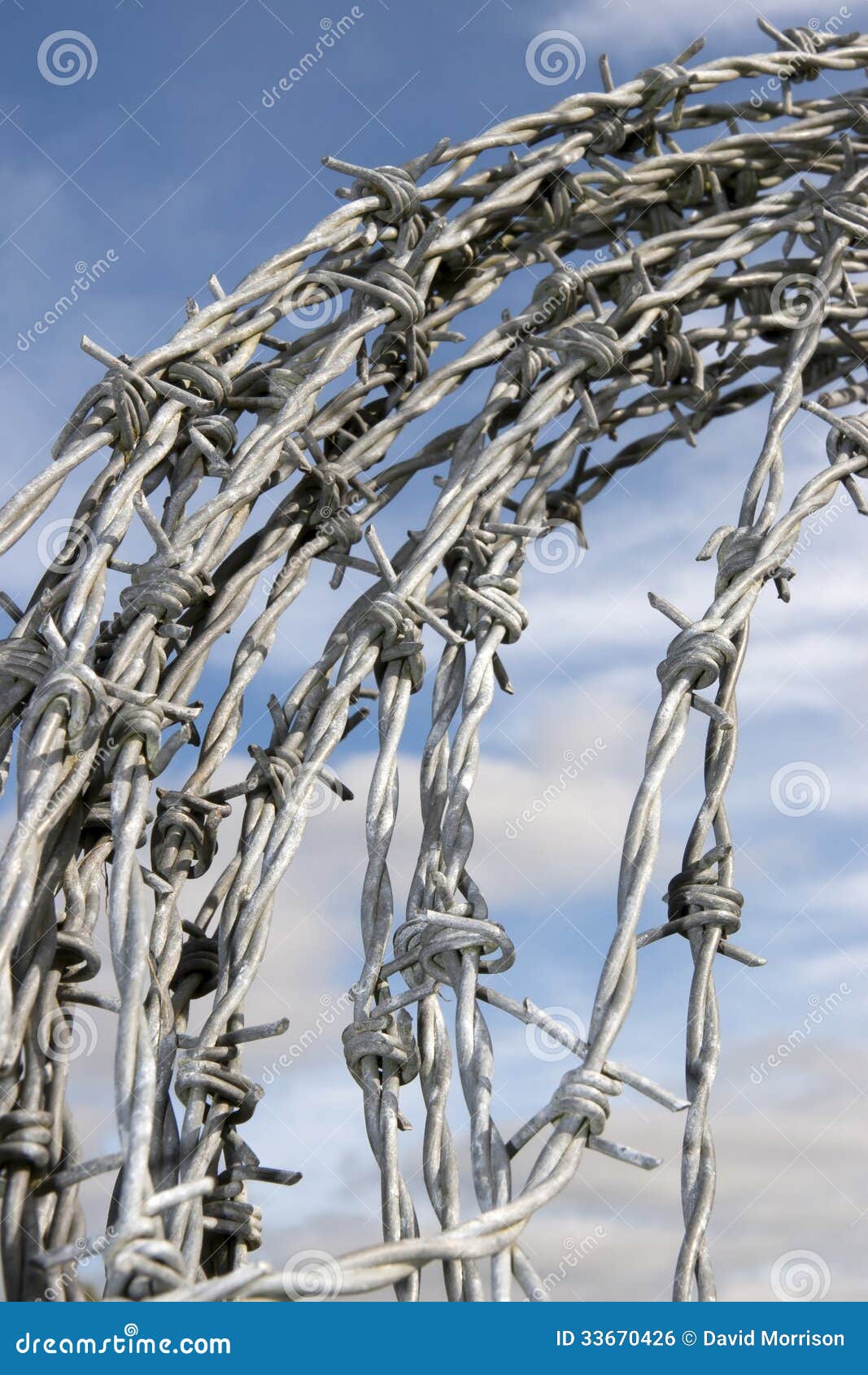 Coil of Dangerous Barbed Wire Stock Photo - Image of protection, fence ...