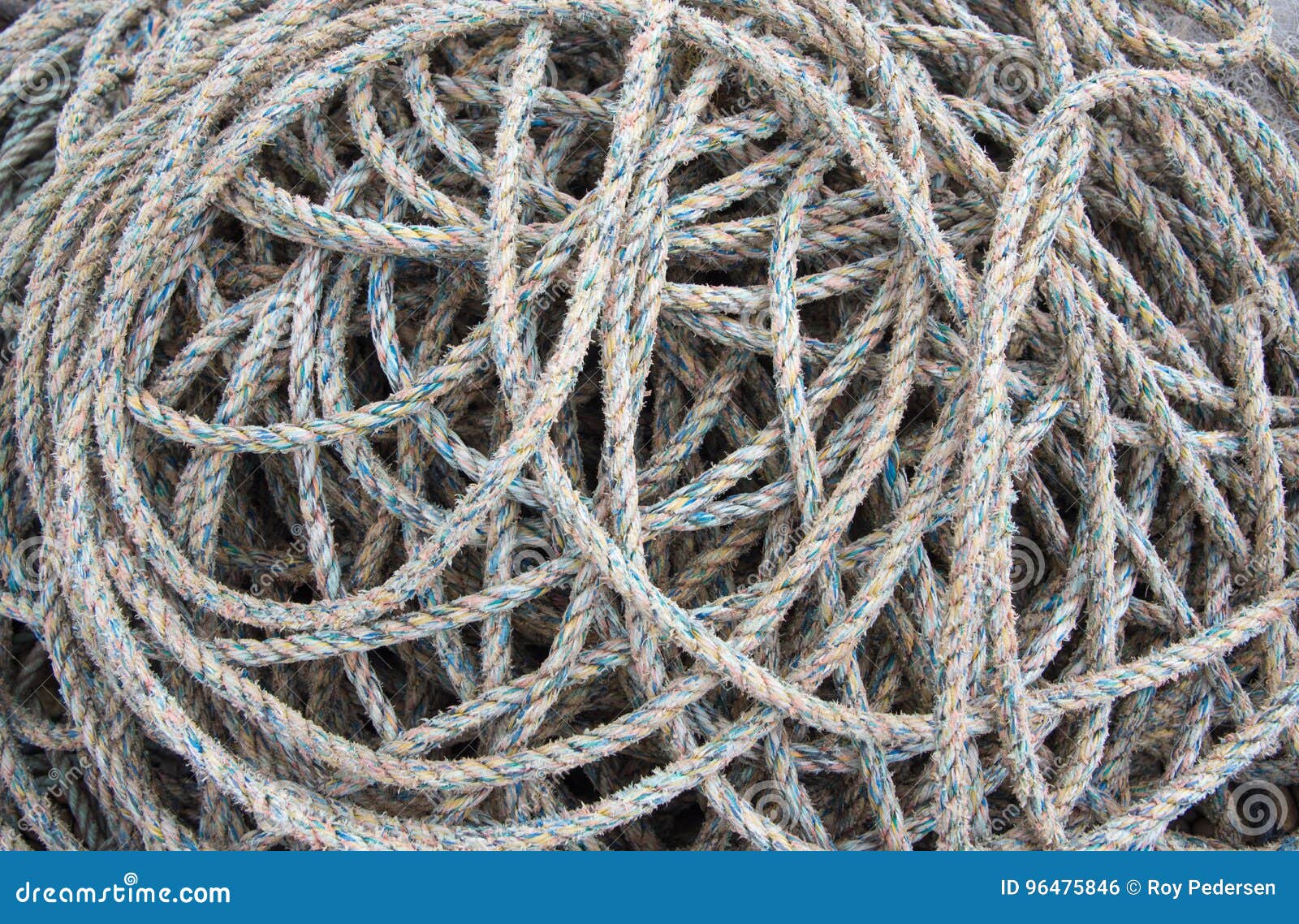 Coiled Fishing Ropes stock photo. Image of strong, closeup - 96475846