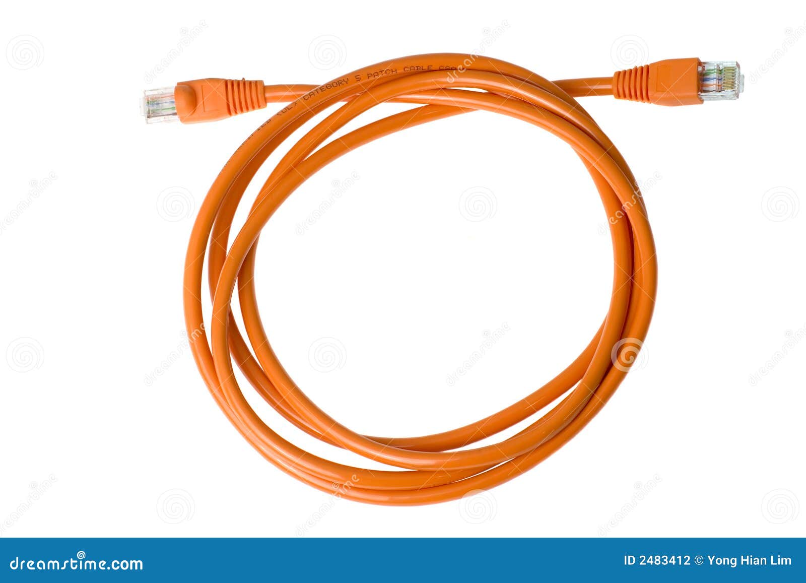 Coiled network cable stock photo. Image of cable, wire - 2483412