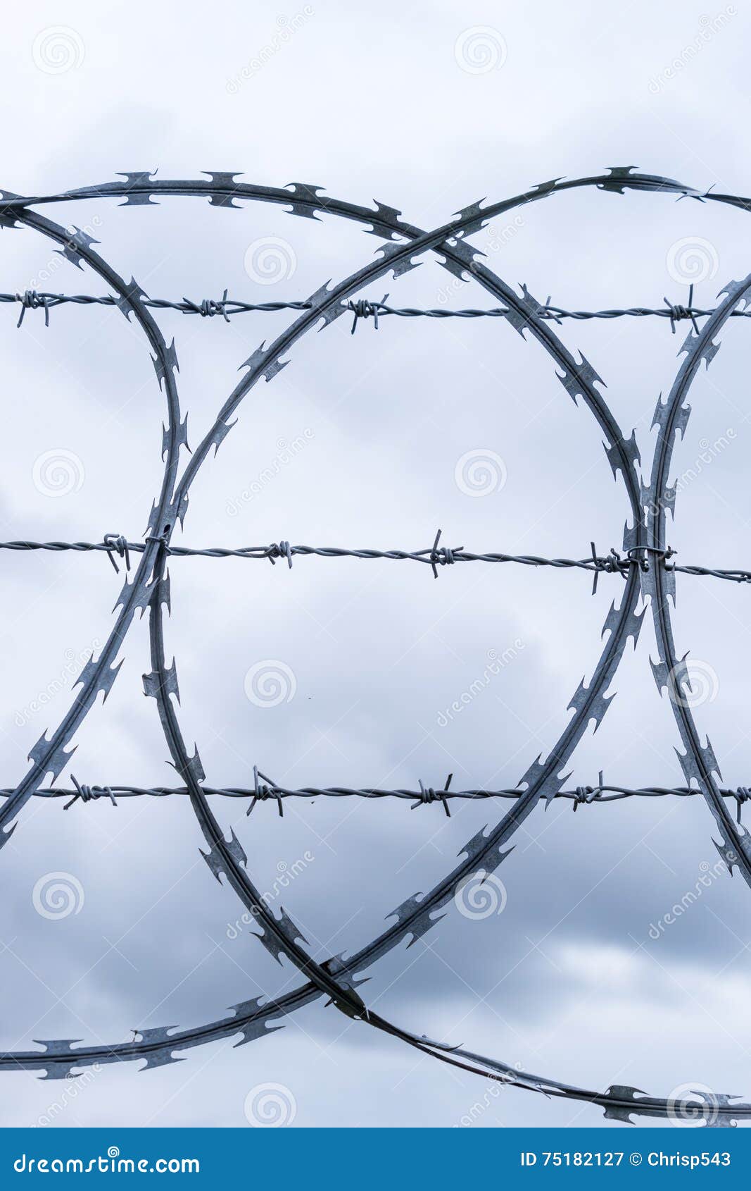 Coiled Razor Wire With Its Sharp Steel Barbs On Top Of A Wire Mesh ...