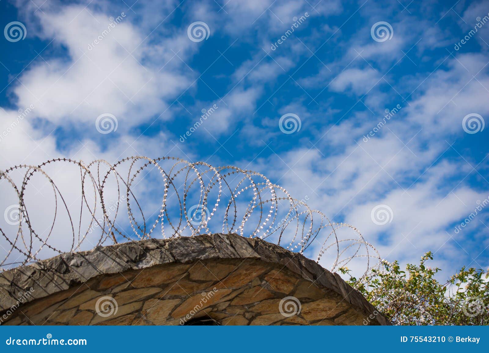 Coiled Razor Wire on Top of a Fence Stock Photo - Image of barbed ...