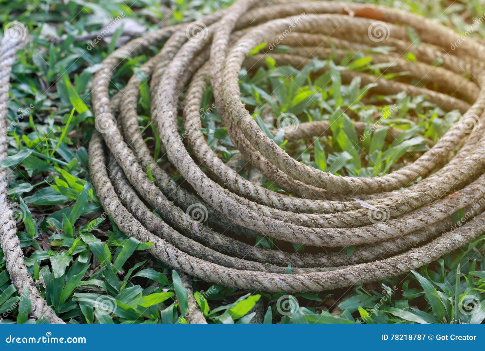 Coiled Roll of Rope Arranged on Grass Ground Stock Image - Image of ...