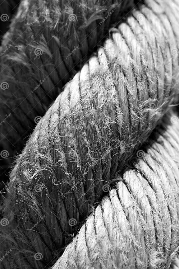 Coiled rope stock photo. Image of lasso, circular, lash - 18202884