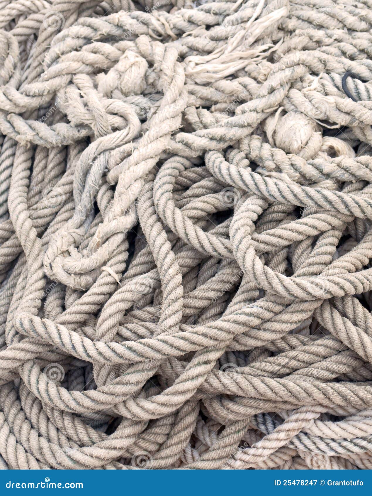 Coiled rope stock image. Image of detail, macro, natural - 25478247