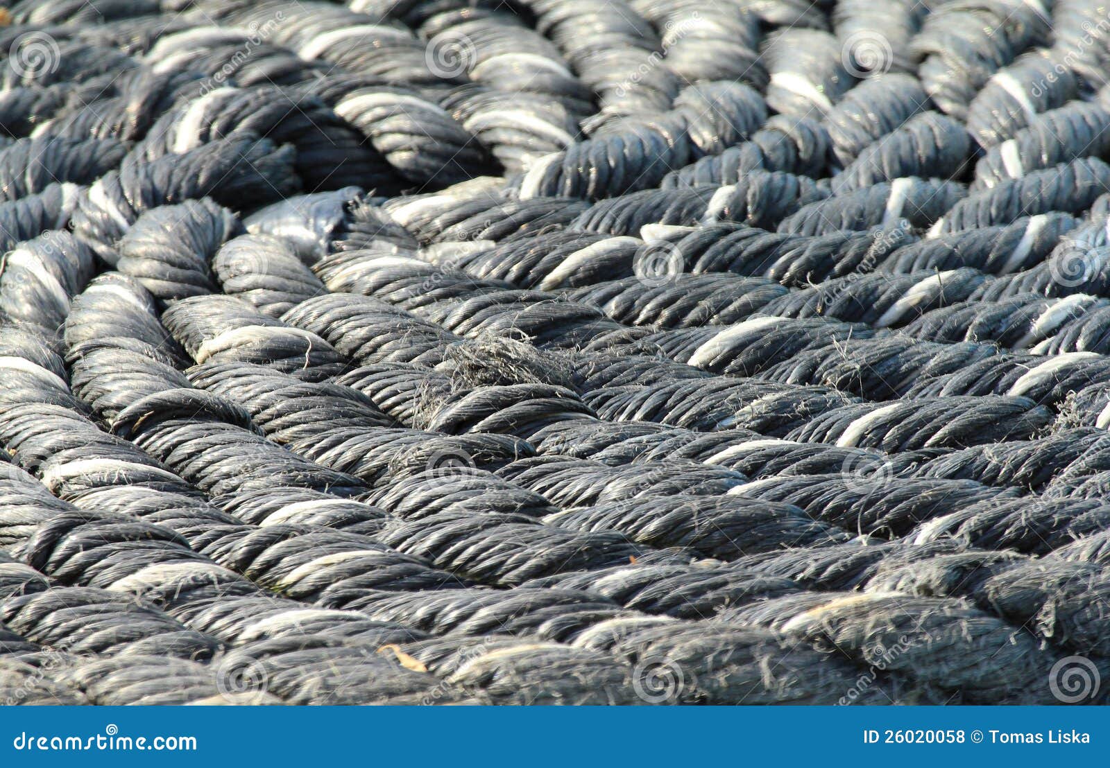 Coiled rope stock photo. Image of heavy, coiled, closeup - 26020058