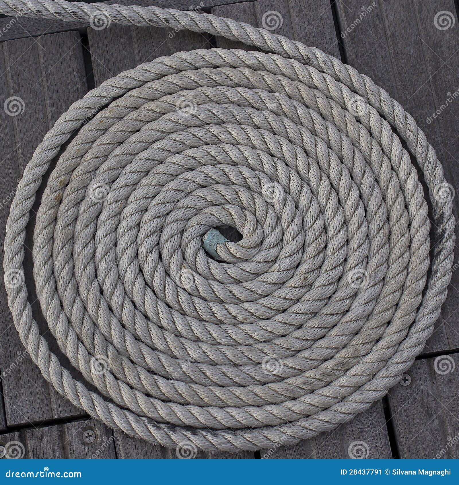 Coiled Rope Royalty-Free Stock Image | CartoonDealer.com #61883830