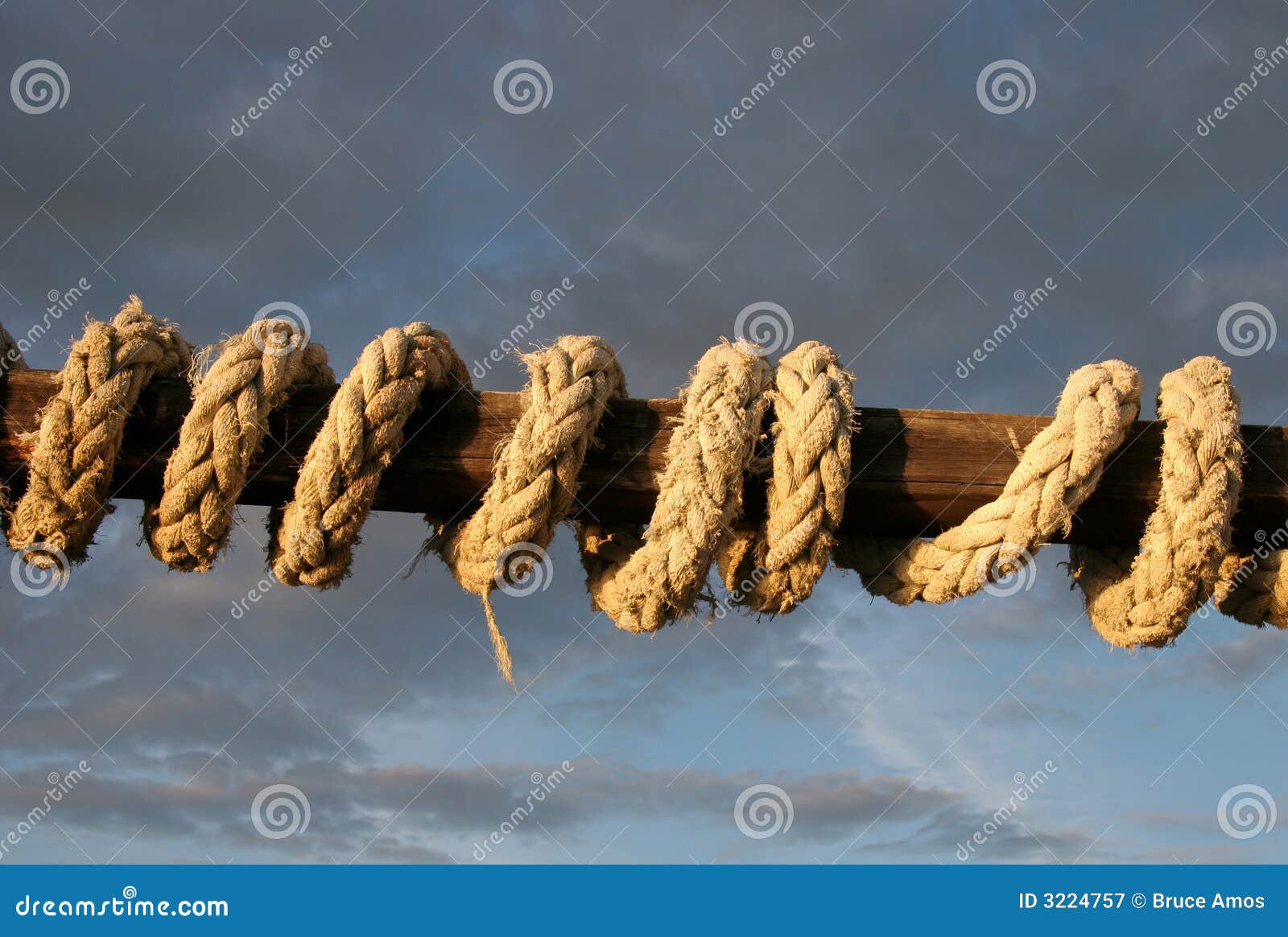 Coiled rope stock image. Image of rope, heavy, coiled - 3224757