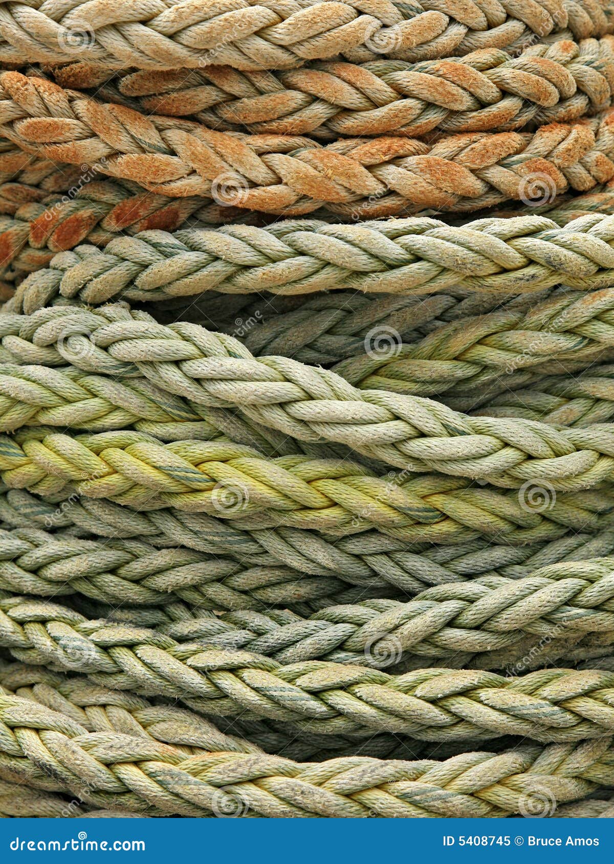Coiled Rope Royalty-Free Stock Image | CartoonDealer.com #61883830