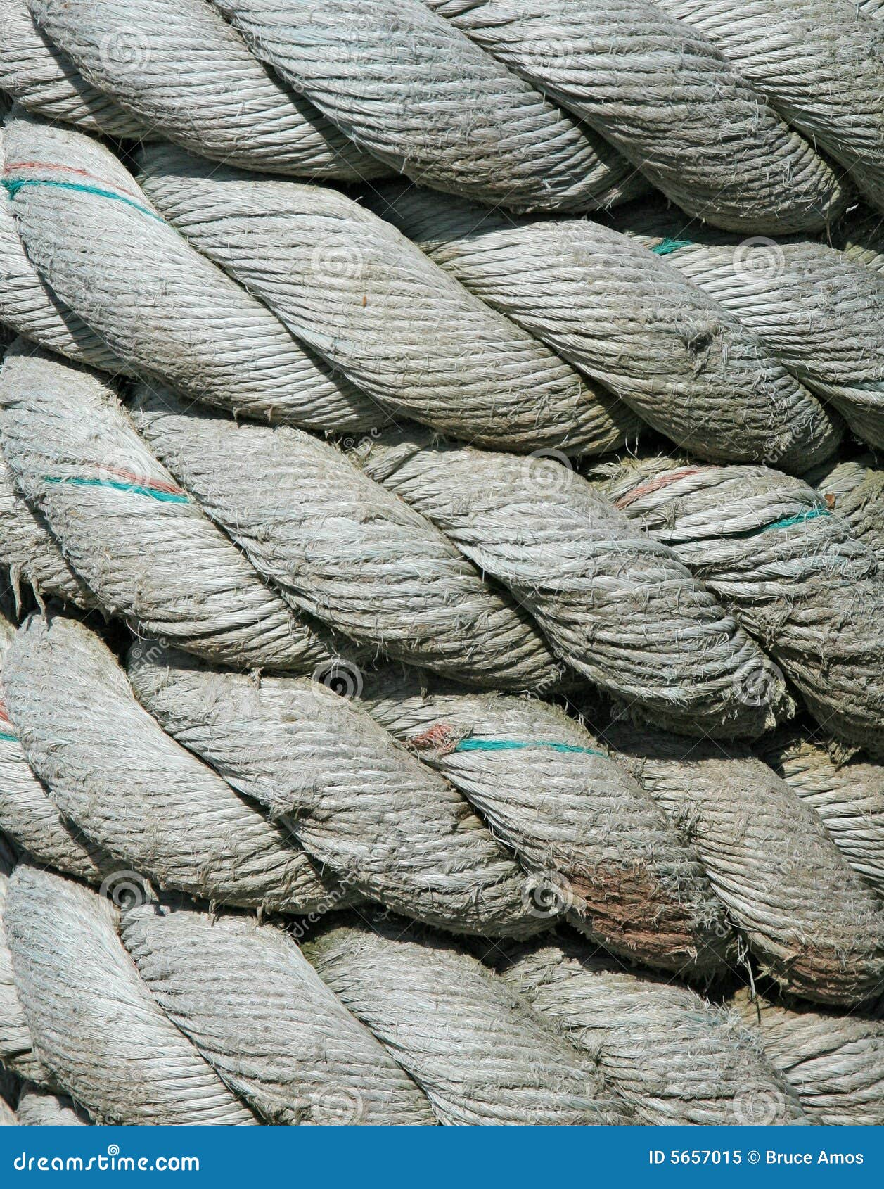 Coiled rope detail stock image. Image of closeup, nautical - 5657015