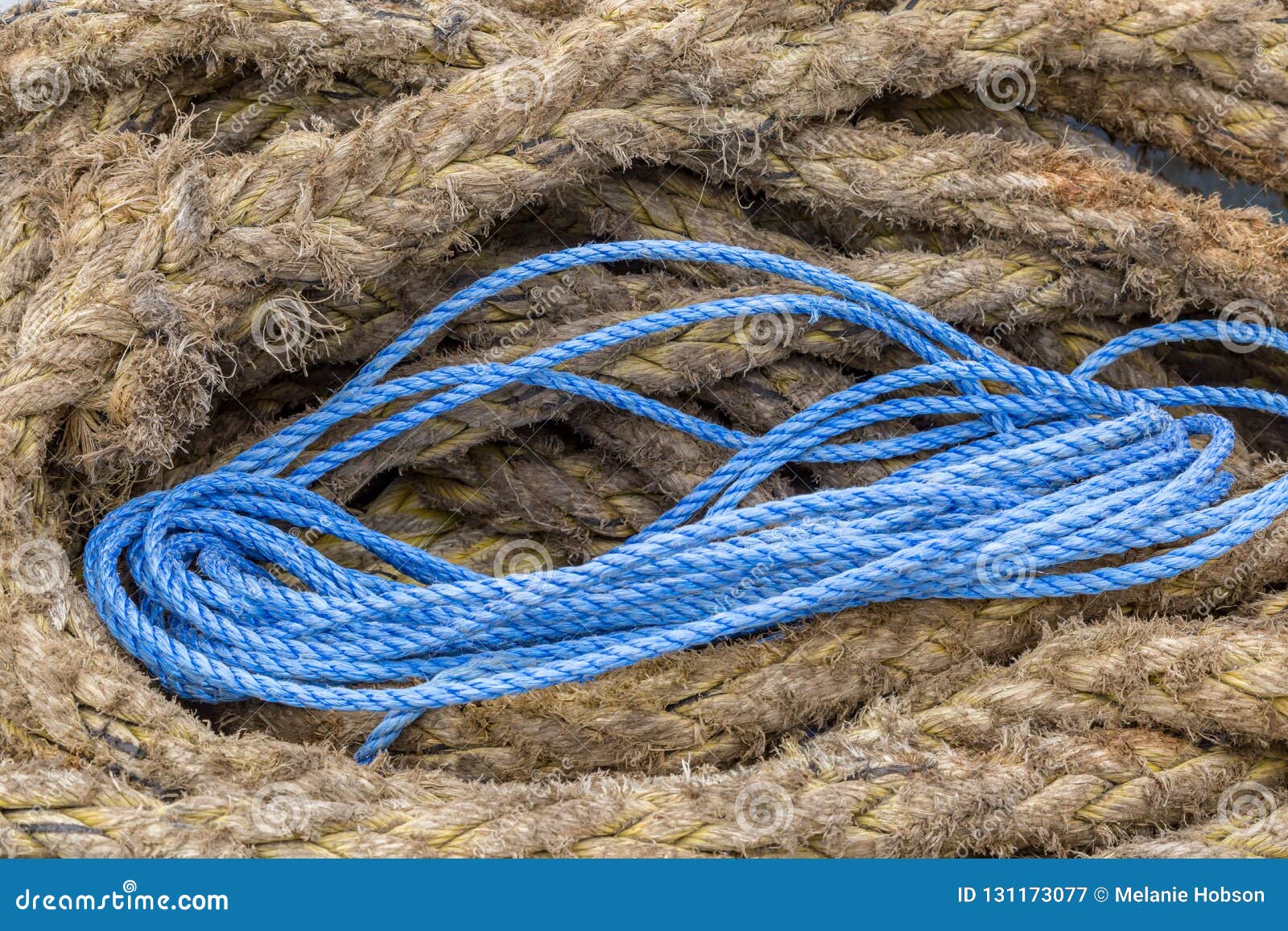 Coiled Rope stock image. Image of tied, texture, line - 131173077