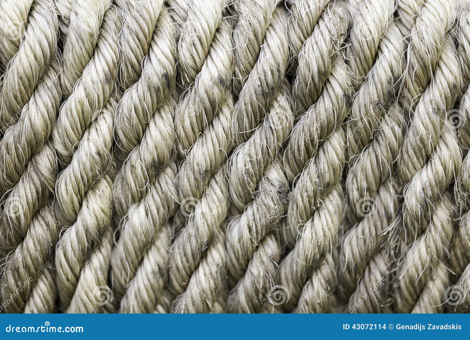 Coiled rope stock photo. Image of line, cable, cord, abstract - 43072114