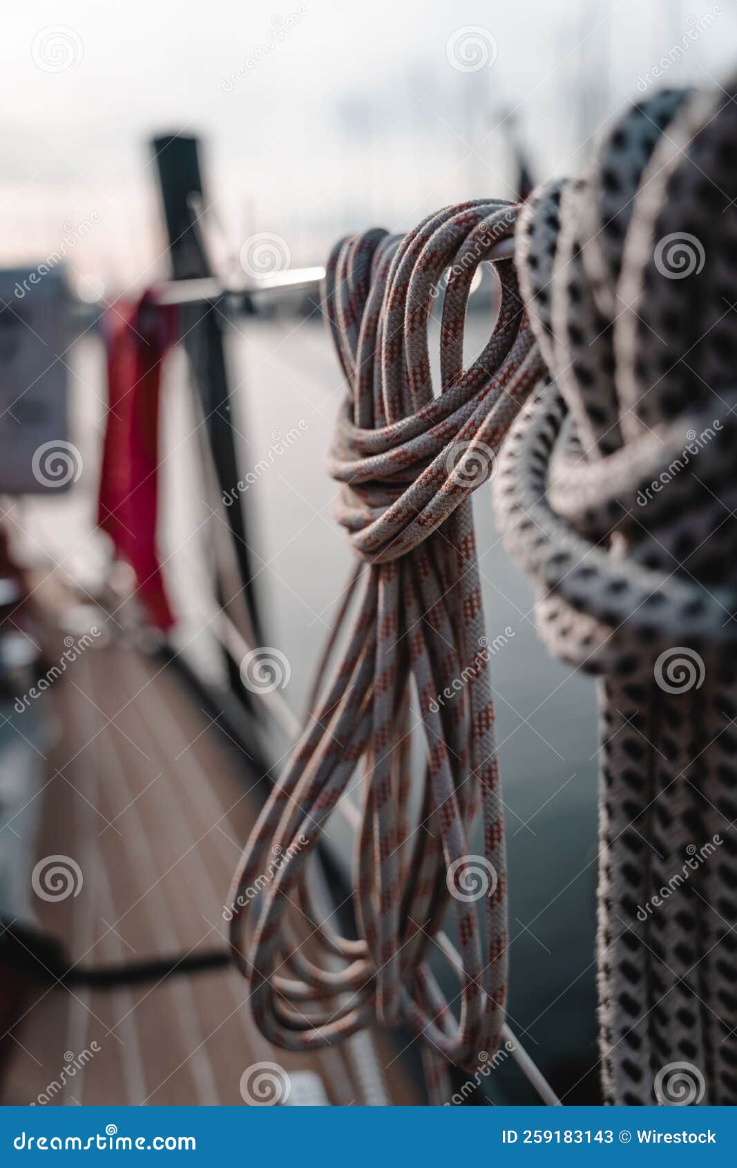 Coiled ropes on a yacht stock image. Image of sail, vertical - 259183143