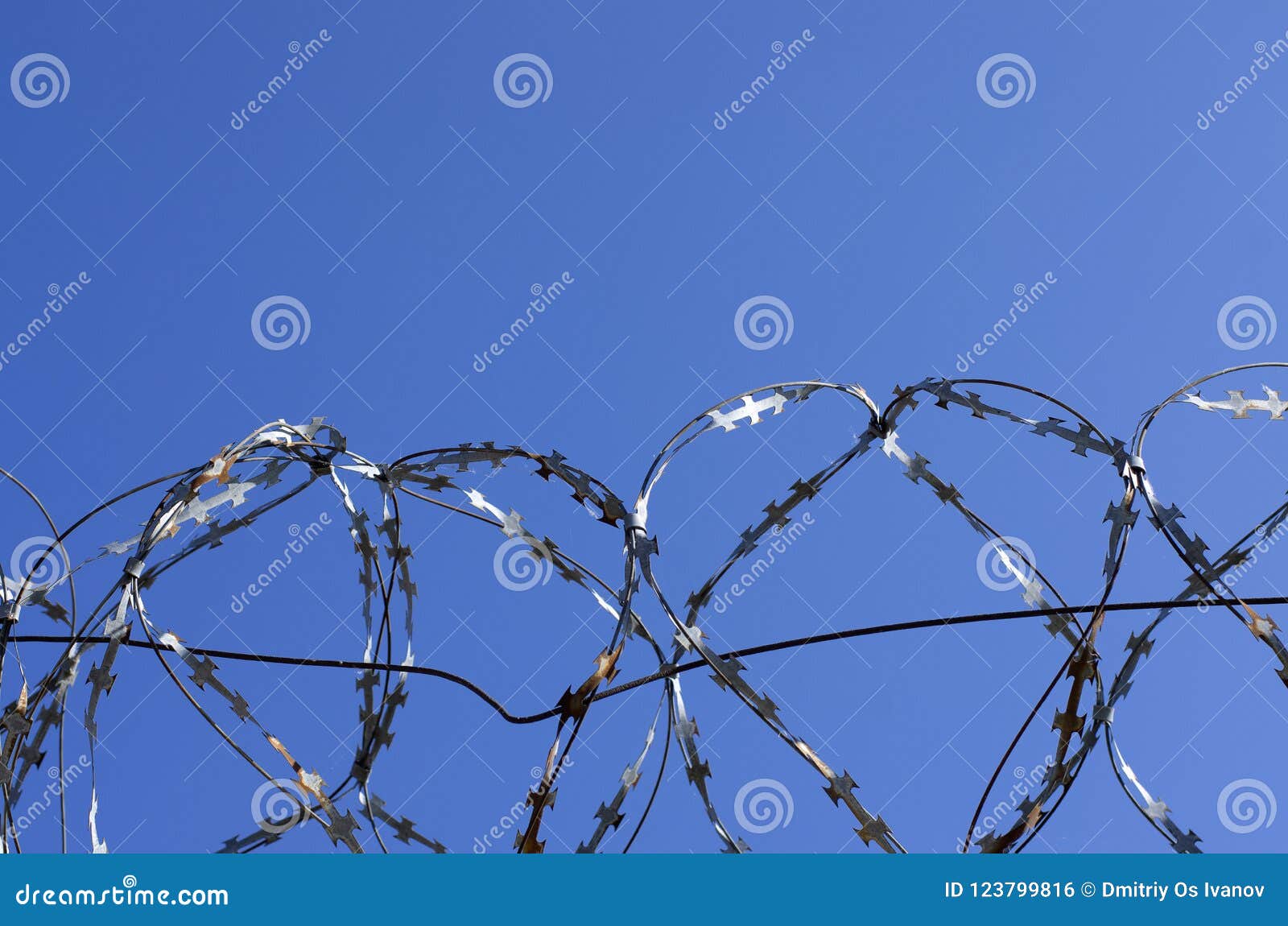 Coils of Barbed Wire with Sharp Spikes Stock Photo - Image of border ...