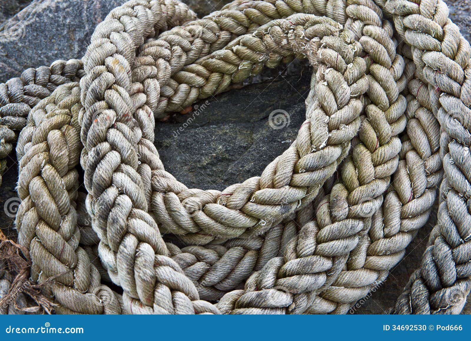 Hemp Rope Fasten Bamboo Trees Stick Together For Building Structure ...