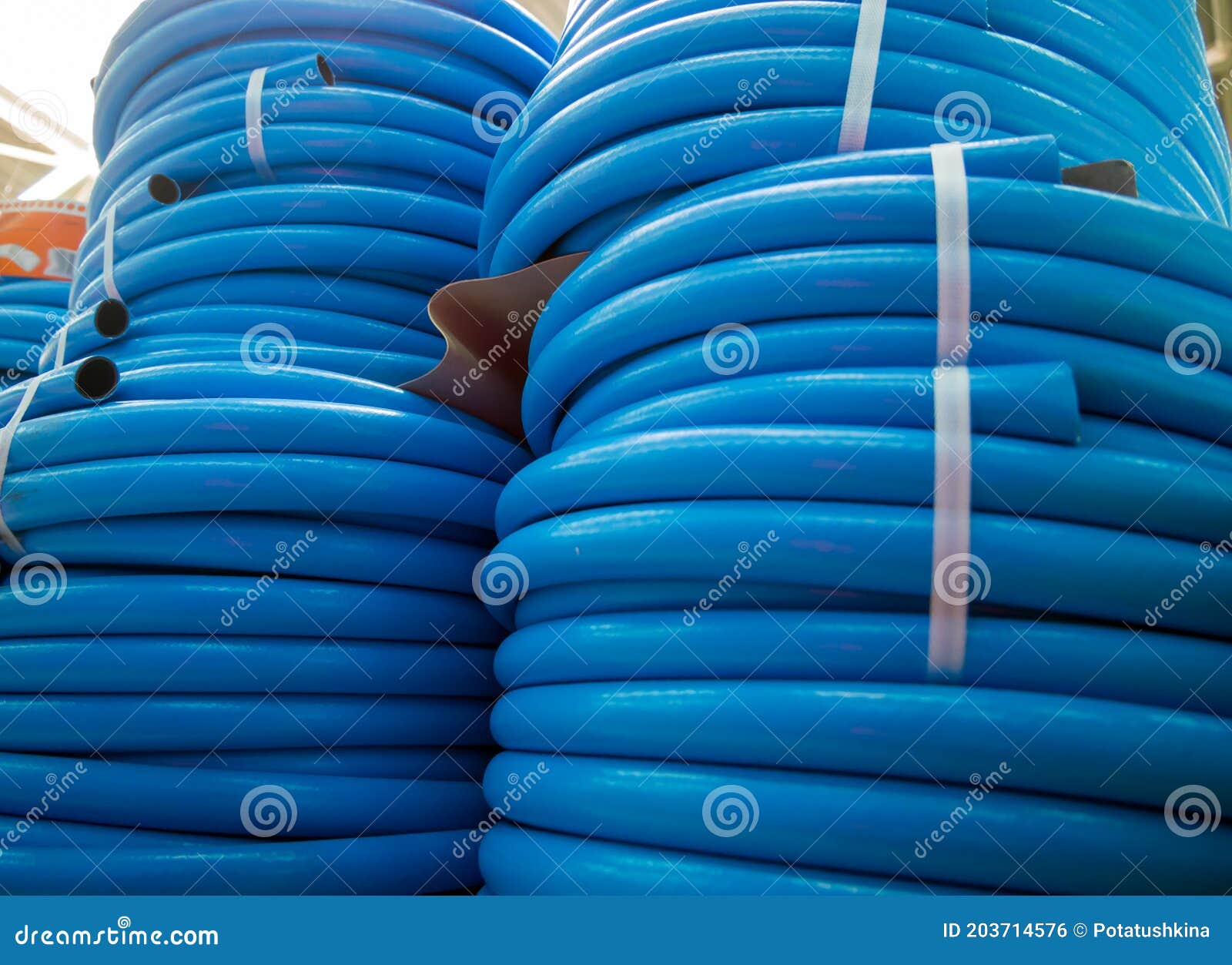 Coils with New Blue Watering Hoses Stock Photo - Image of rubber, pipe ...