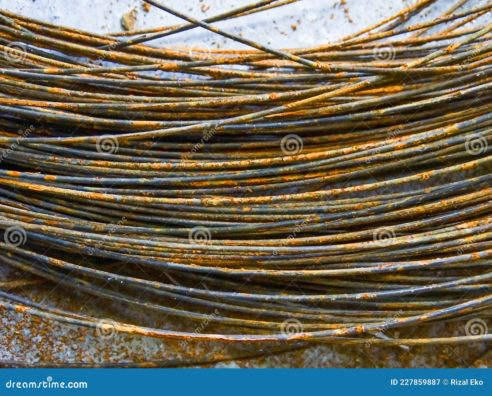 Coils of Rusty Wire on the Ground Stock Image - Image of soil, tree ...