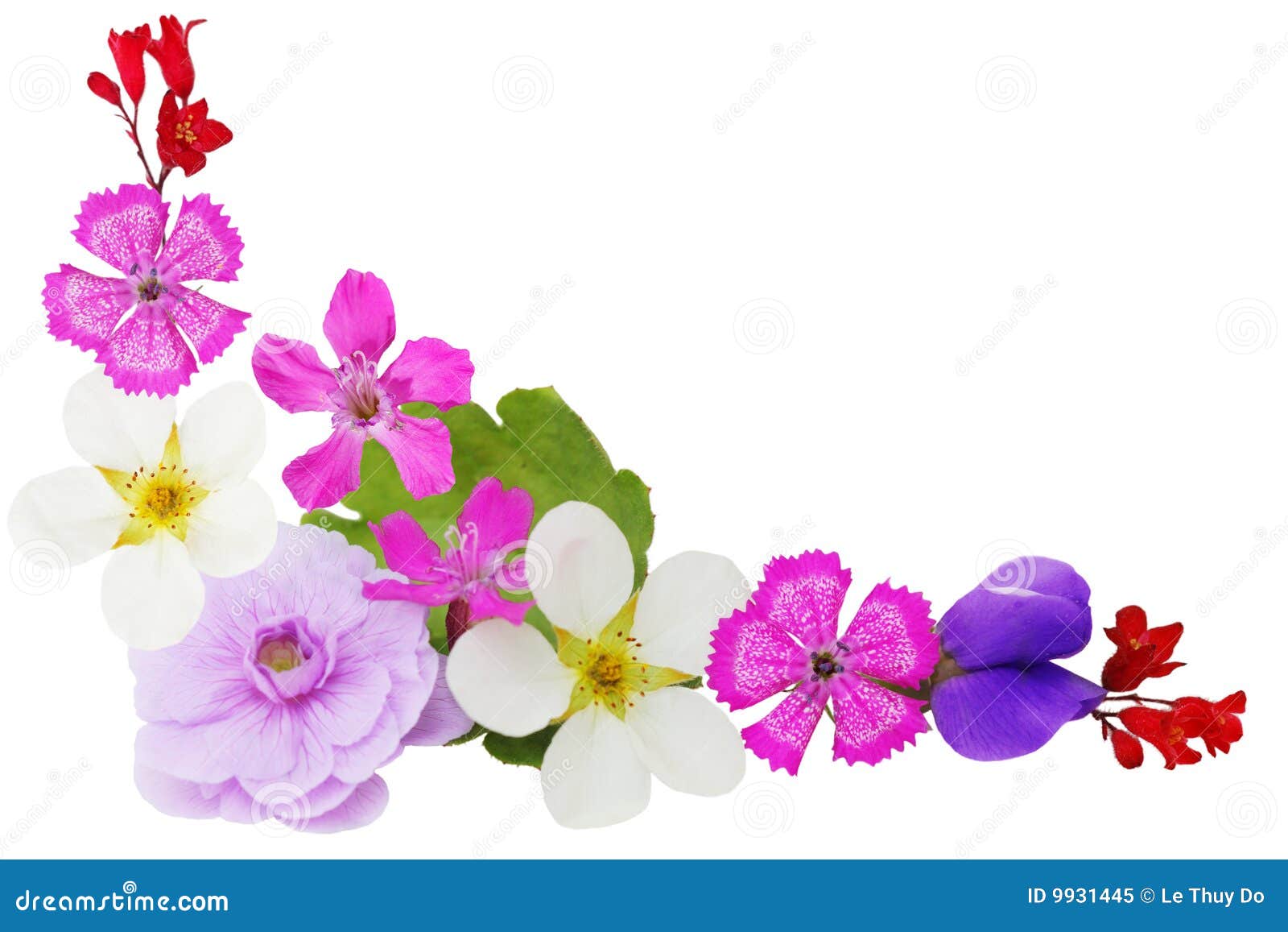 Render Flowers Fleurs Coin