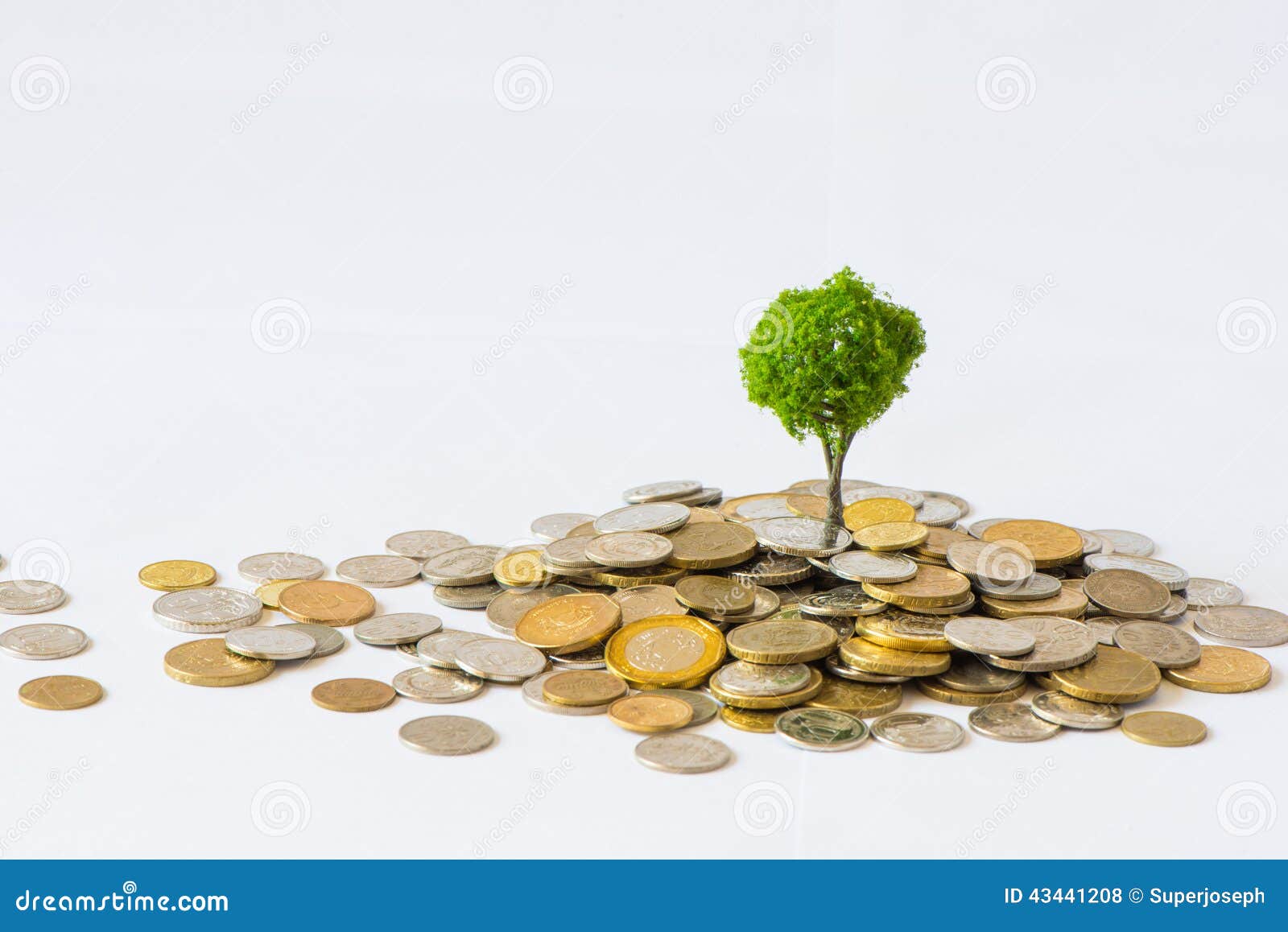 Coin growing tree stock photo. Image of plant, finance - 43441208