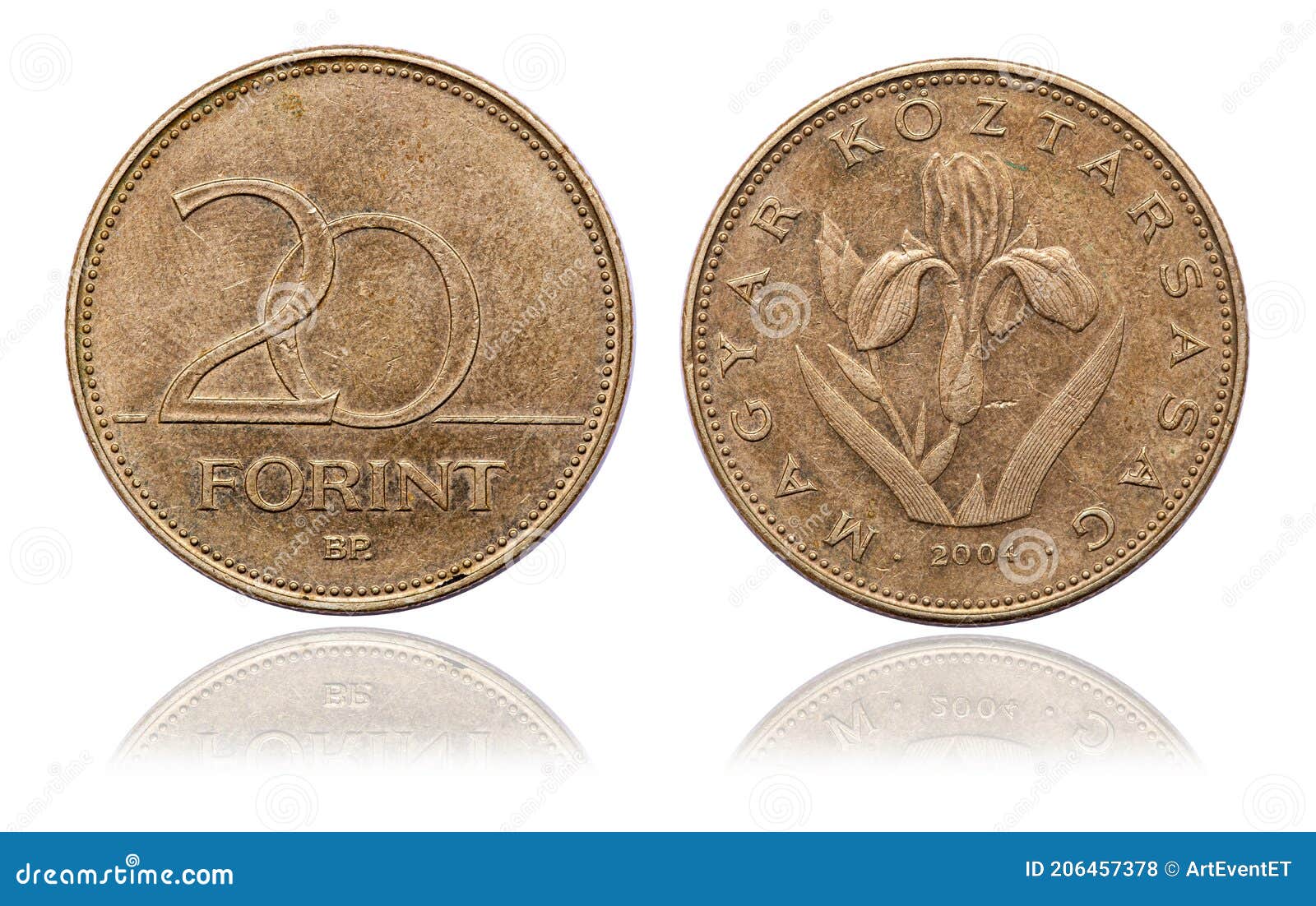 Coin 20 Hungarian Forints. stock photo. Image of banking - 206457378