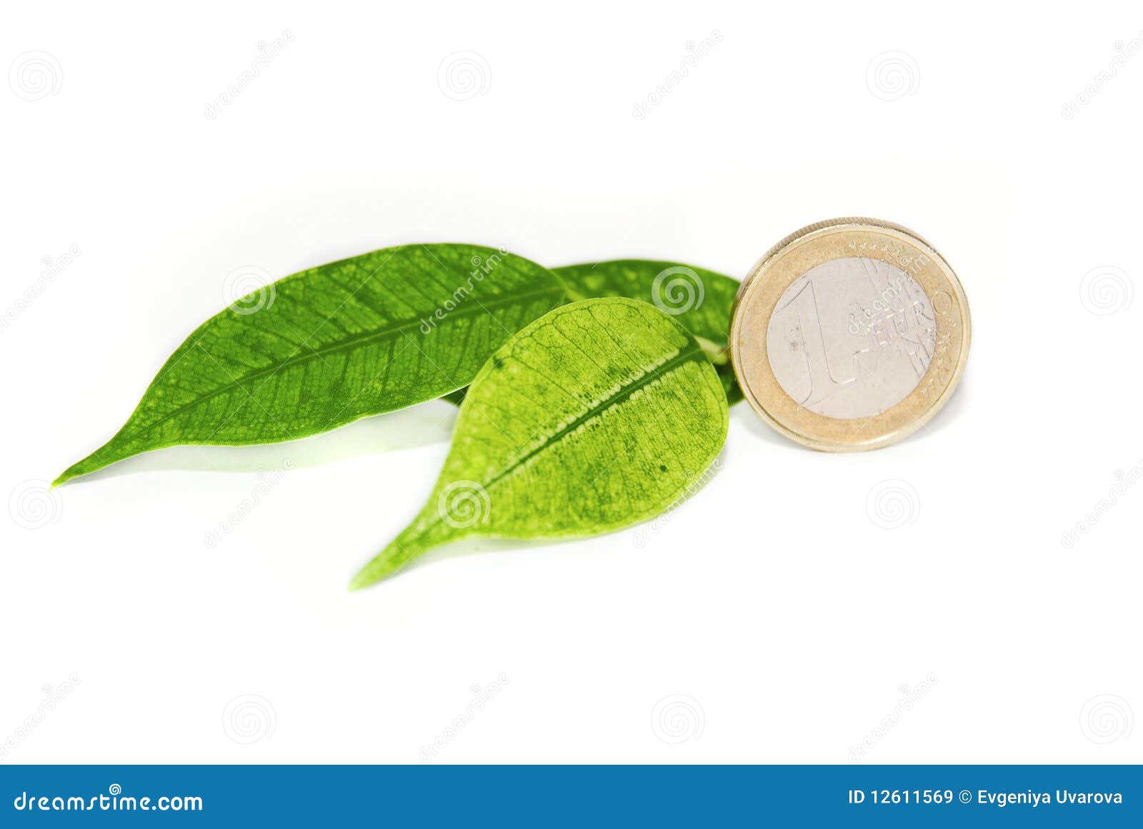 Coin and leaf stock image. Image of leaf, heap, account - 12611569