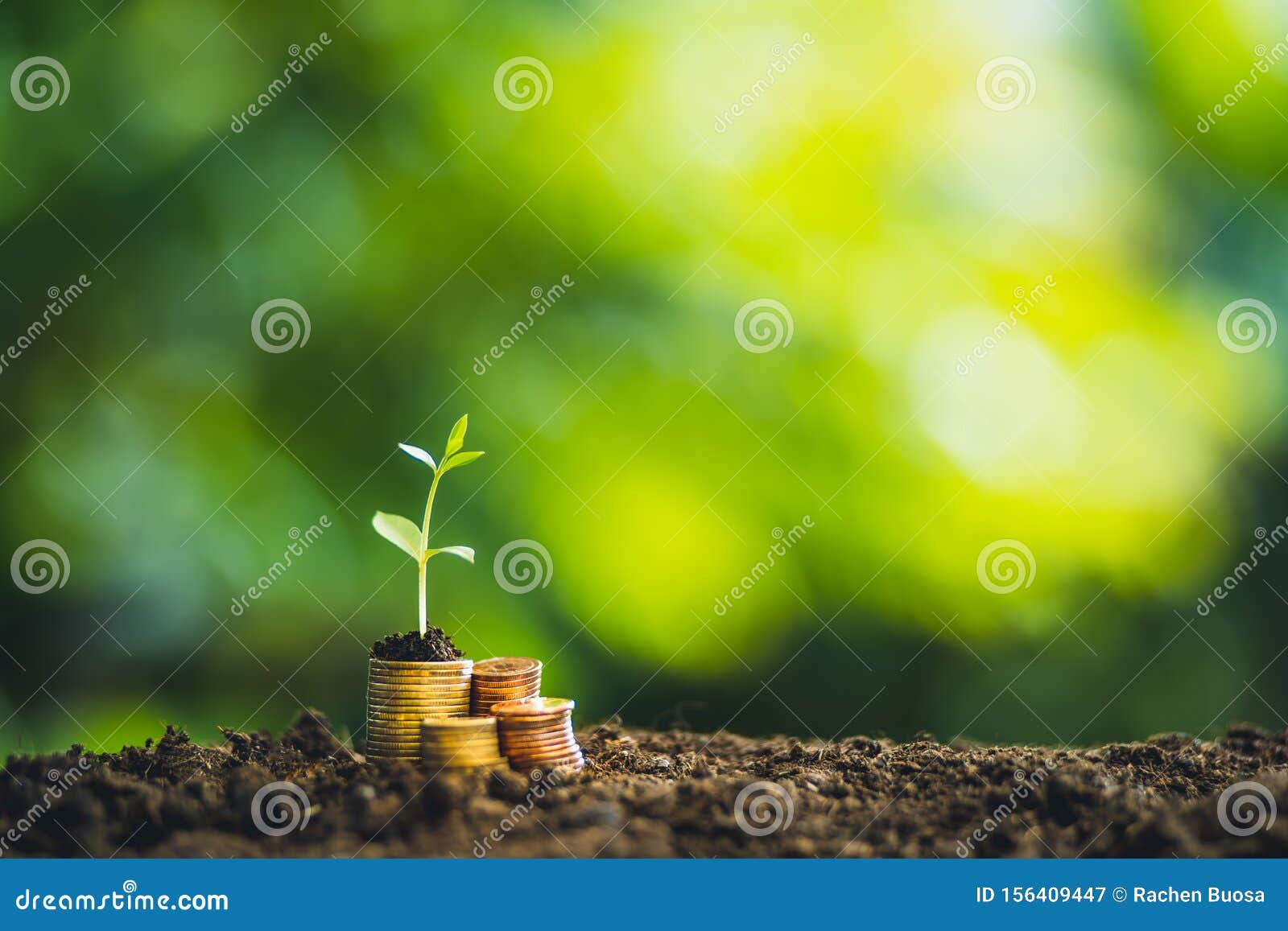 Coin Stack Tree on Money on Natural Green Background Money Increase ...